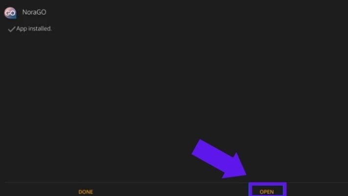 Nora Go on Firestick (How to Install in 2025) - My Vpn Hub