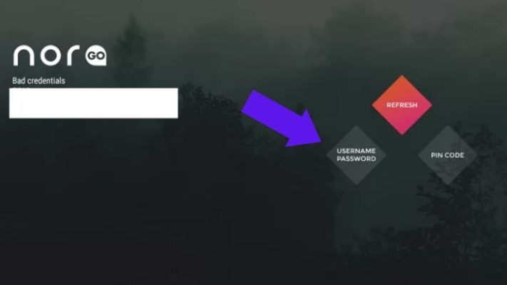 Nora Go on Firestick (How to Install in 2026) - My Vpn Hub