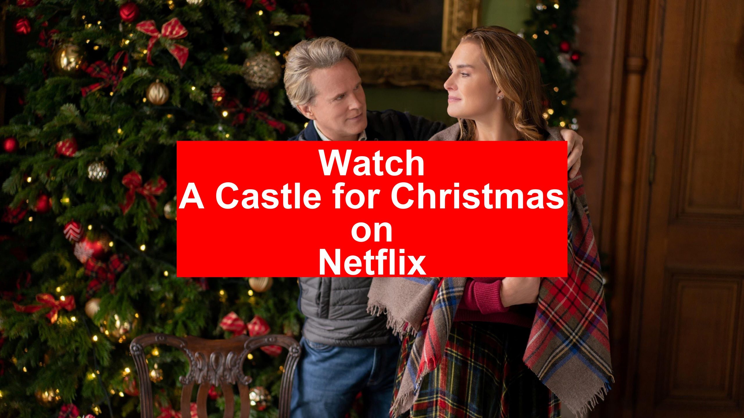 How to Watch A Castle for Christmas On Netflix [Top Guide 2026] - My ...