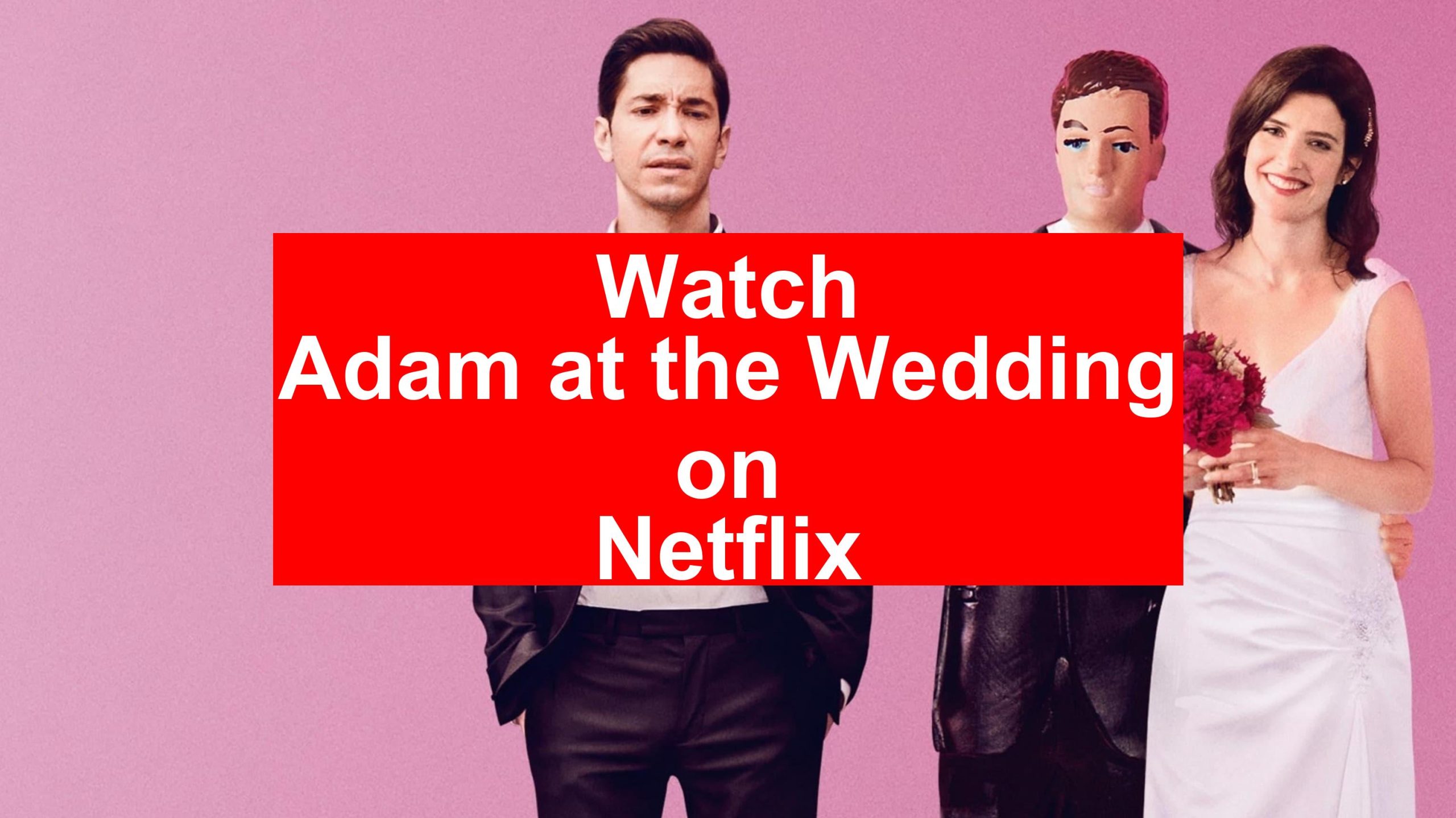 How to Watch Adam at the Wedding On Netflix [Fast Guide 2026] - My Vpn Hub