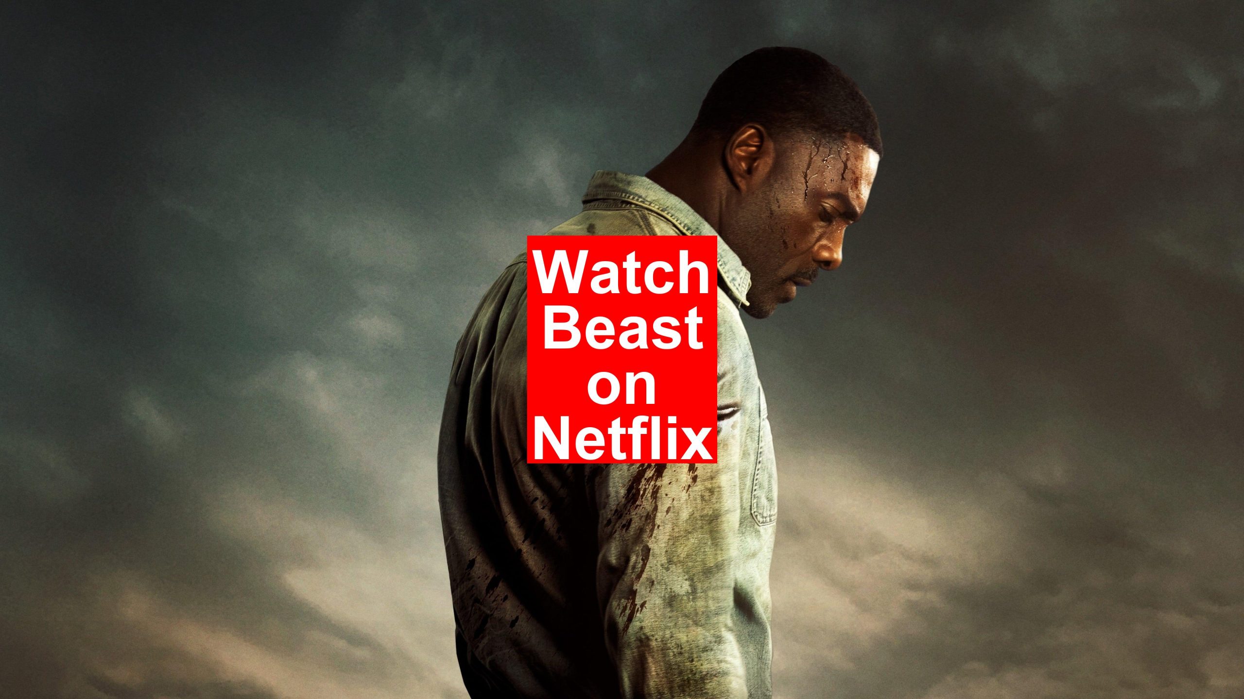 How to Watch Beast On Netflix [Easy Guide 2025] - My Vpn Hub
