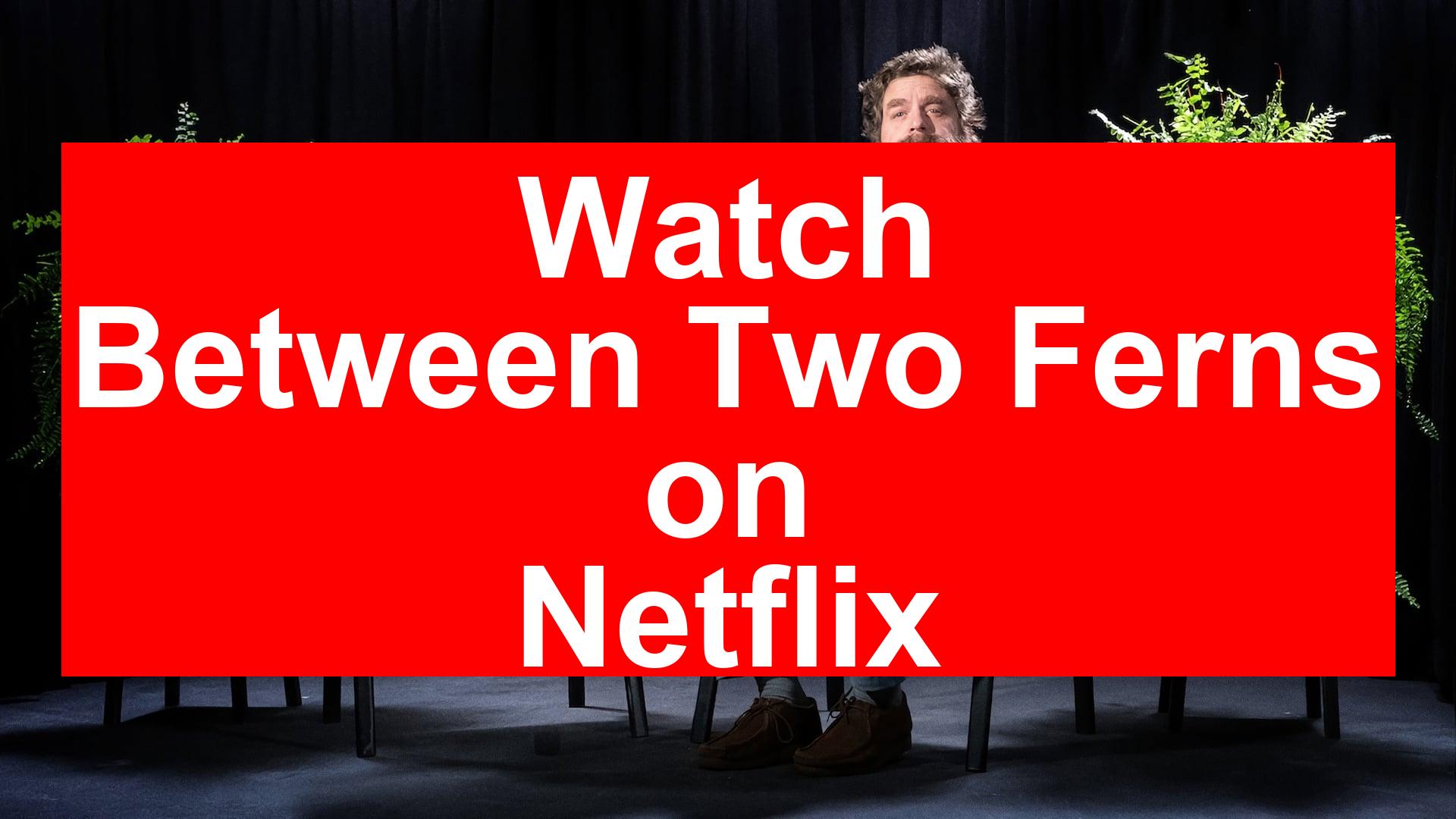 How to Watch Between Two Ferns On Netflix [Easy Guide 2026] - My Vpn Hub