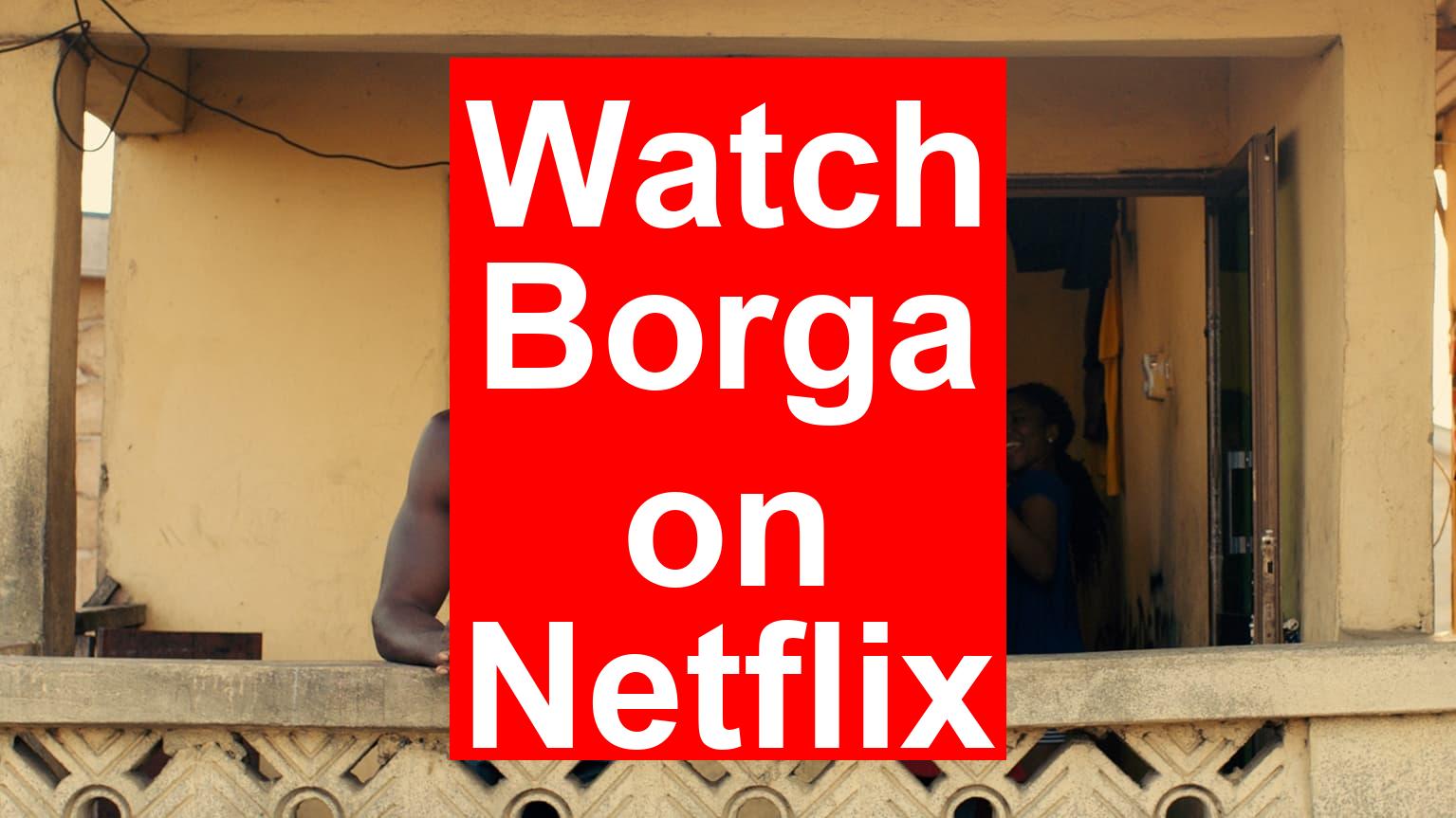 How to Watch Borga On Netflix [Best Guide 2026] - My Vpn Hub