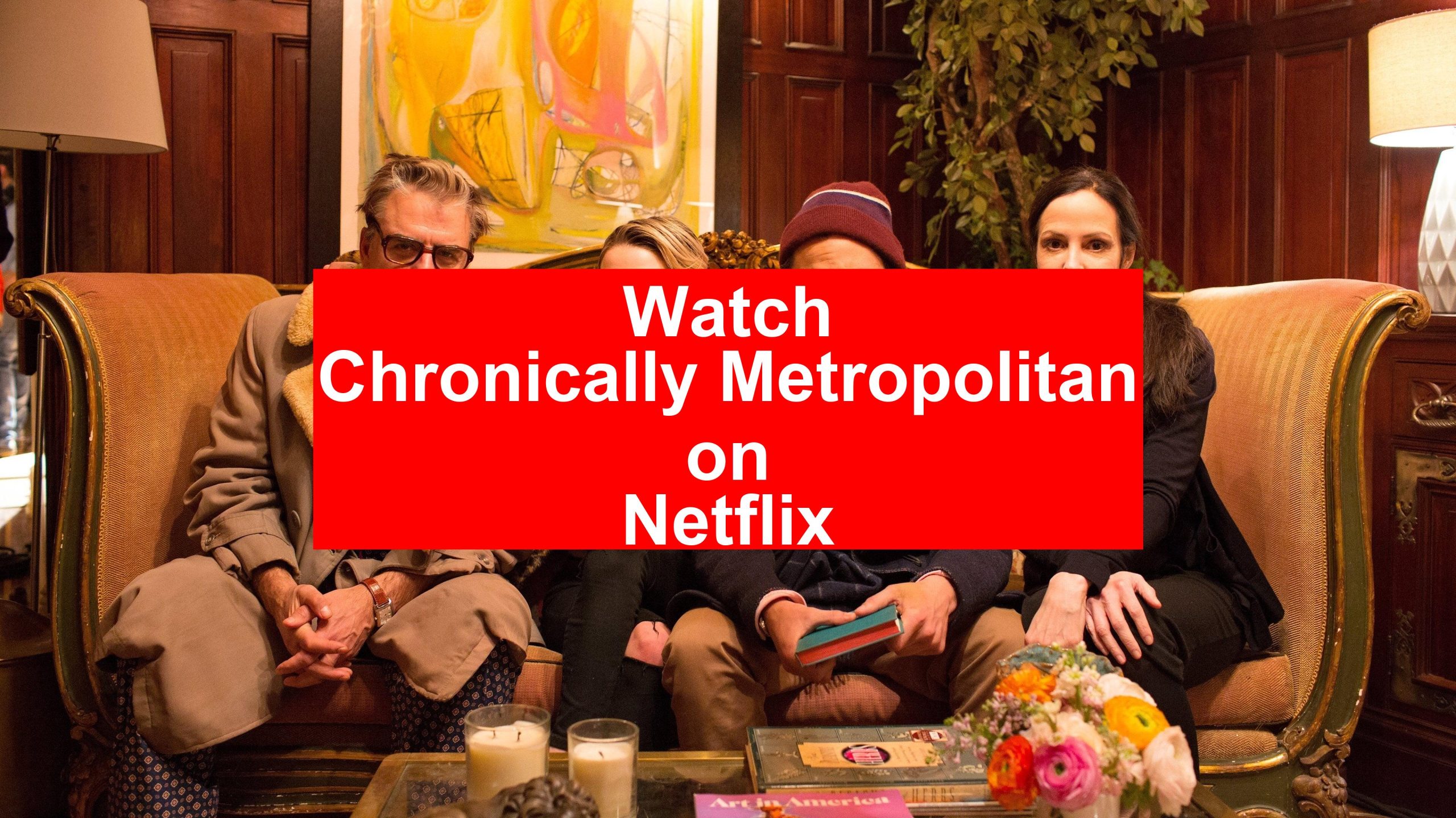 How to Watch Chronically Metropolitan On Netflix [Fast Guide 2025] - My Vpn Hub