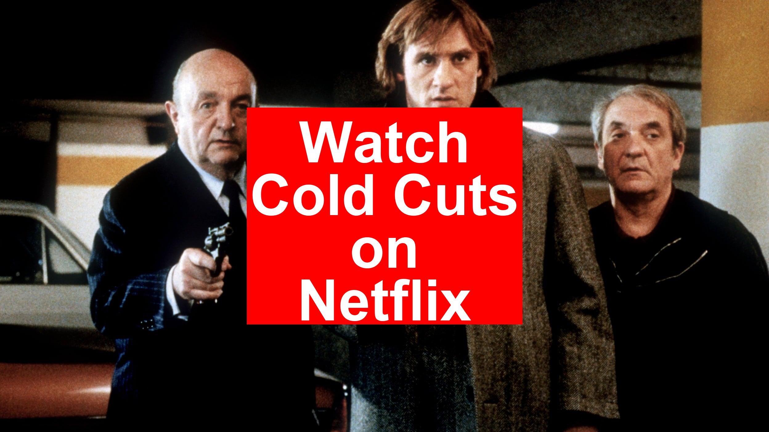 How to Watch Cold Cuts On Netflix [Fast Guide 2025] - My Vpn Hub