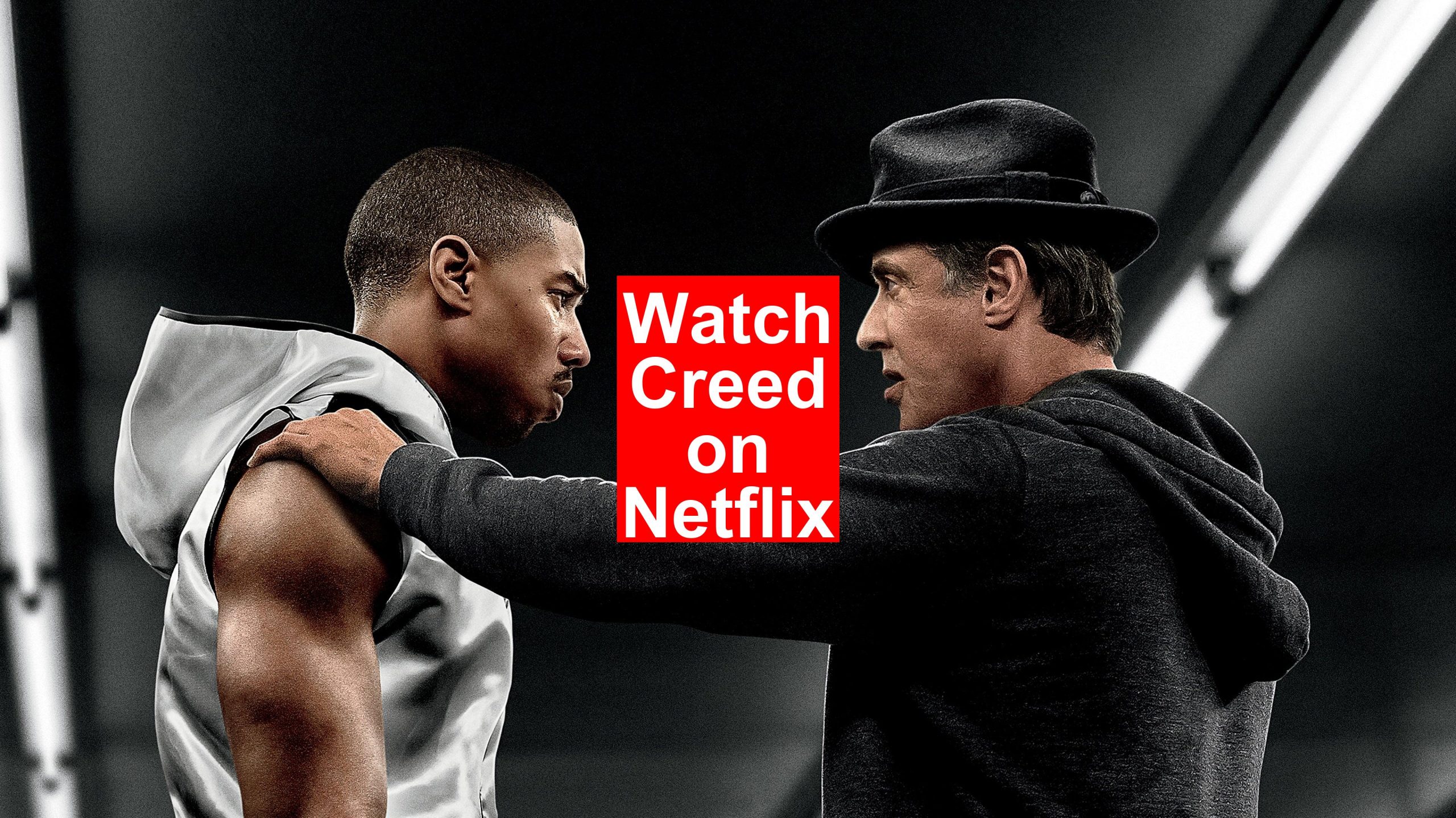 How to Watch Creed On Netflix [Easy Guide 2025] - My Vpn Hub