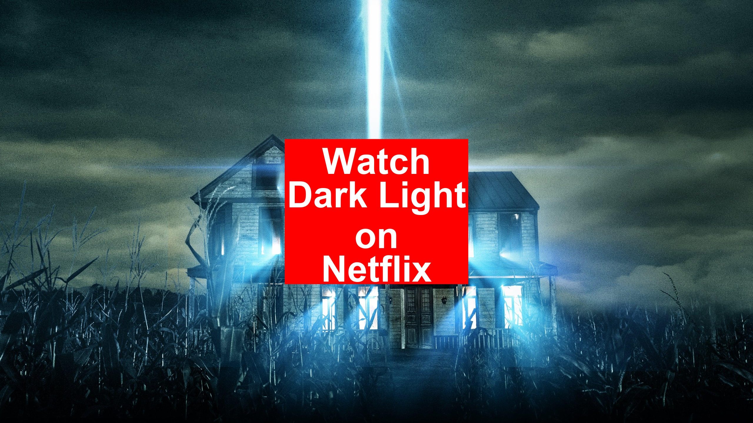How to Watch Dark Light On Netflix [Top Guide 2025] - My Vpn Hub