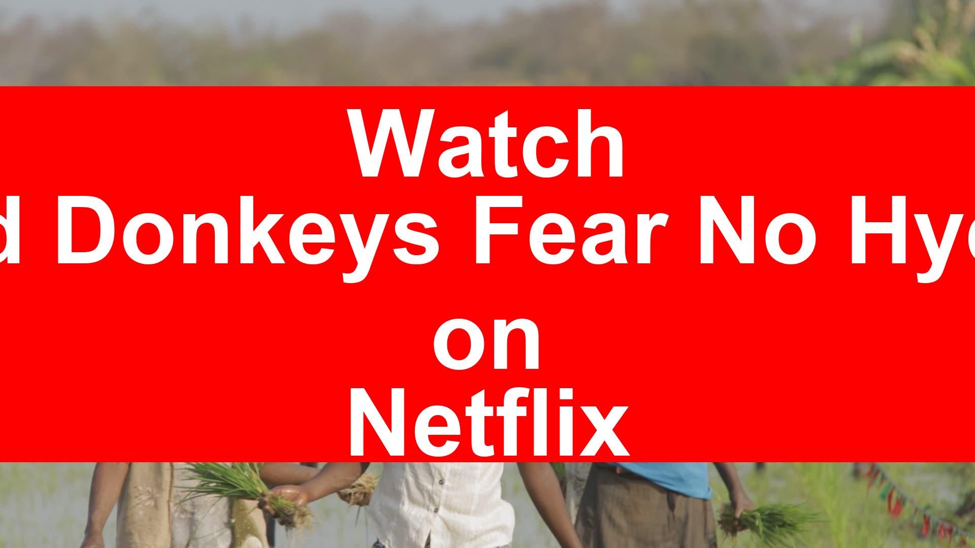 How to Watch Dead Donkeys Fear No Hyenas On Netflix [Top Guide 2026 ...