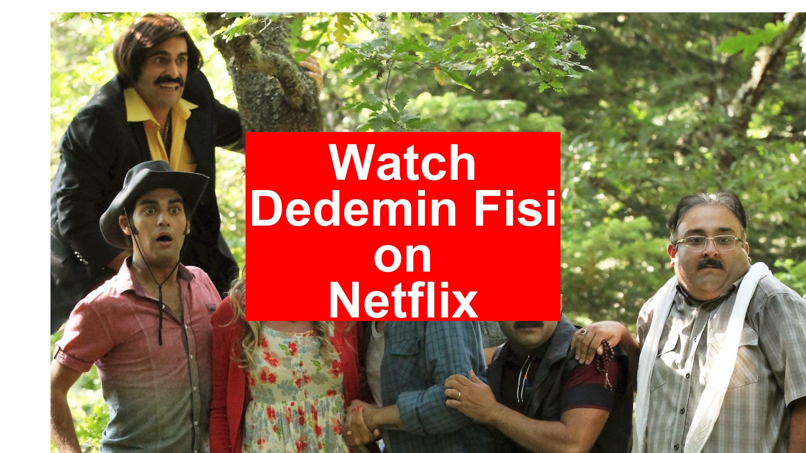 How to Watch Dedemin Fisi On Netflix [Best Guide 2025] - My Vpn Hub