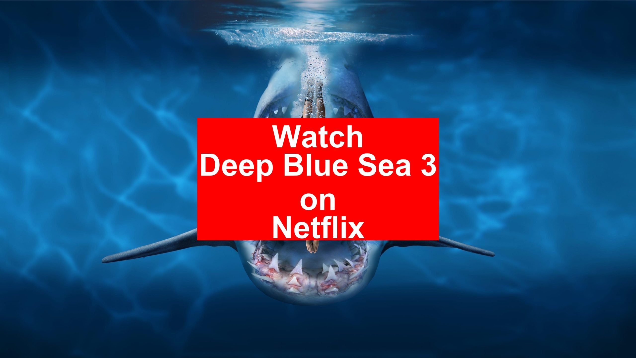 How to Watch Deep Blue Sea 3 On Netflix [Top Guide 2026] - My Vpn Hub