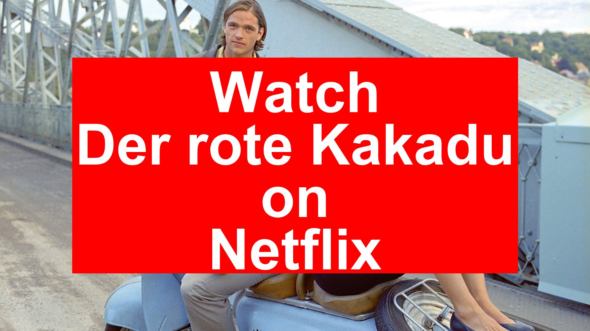 How to Watch Der rote Kakadu On Netflix [Fast Guide 2025] - My Vpn Hub