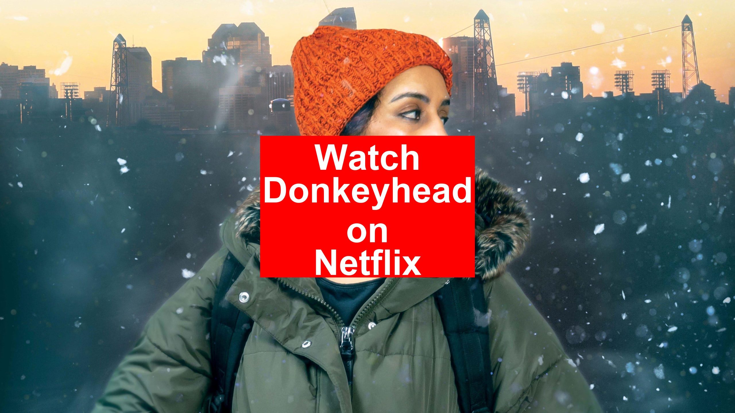 How to Watch Donkeyhead On Netflix [Best Guide 2025] - My Vpn Hub