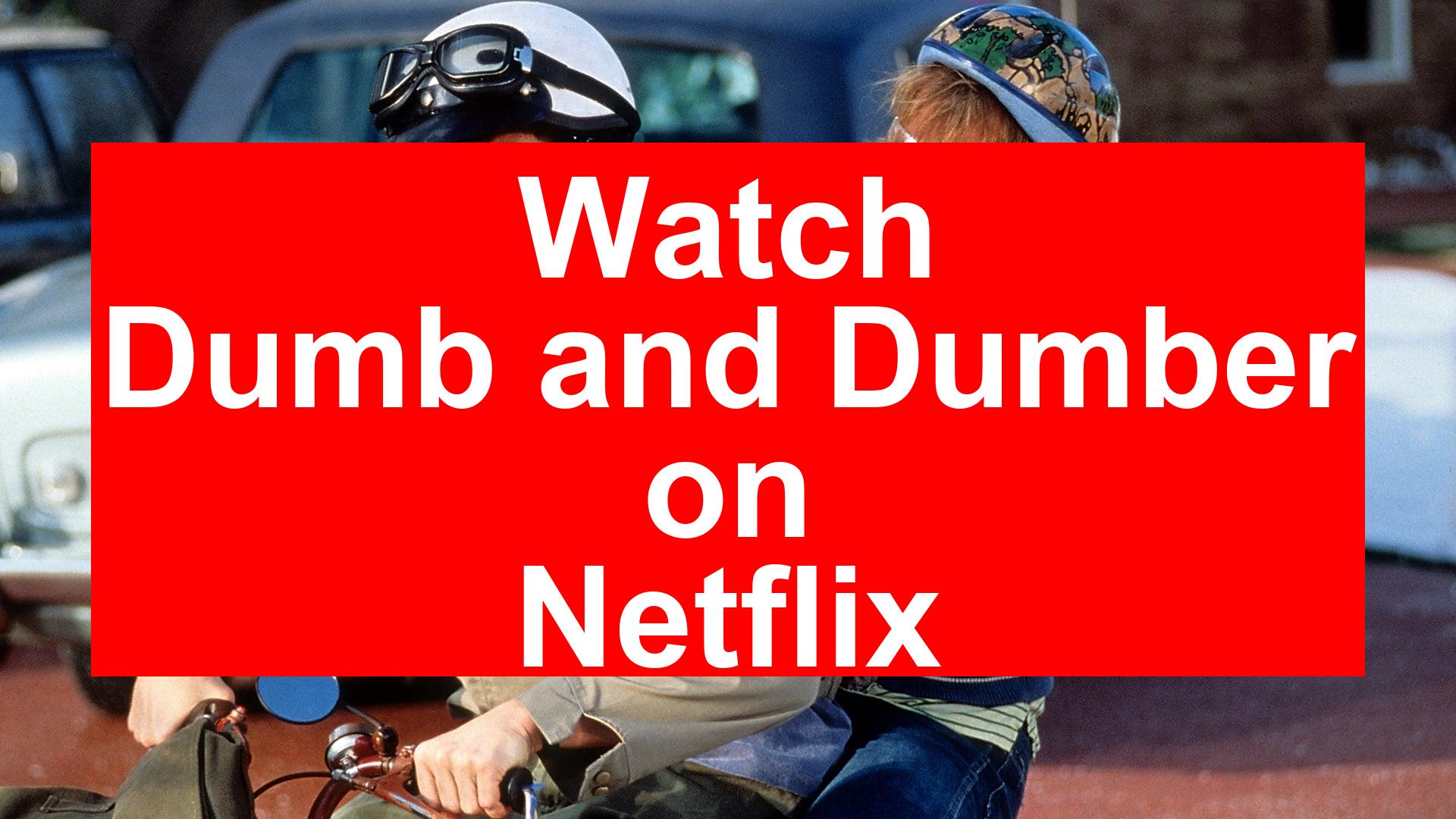 How to Watch Dumb and Dumber On Netflix [Easy Guide 2025] - My Vpn Hub