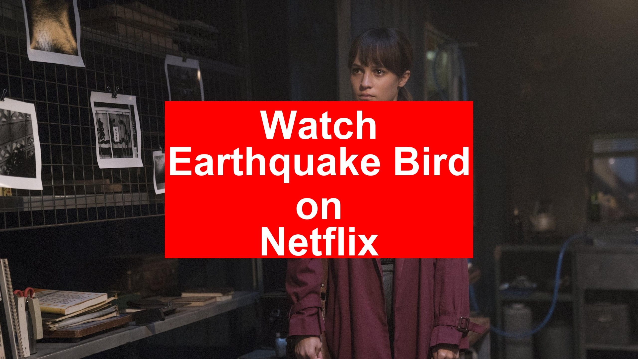 How to Watch Earthquake Bird On Netflix [Best Guide 2025] - My Vpn Hub