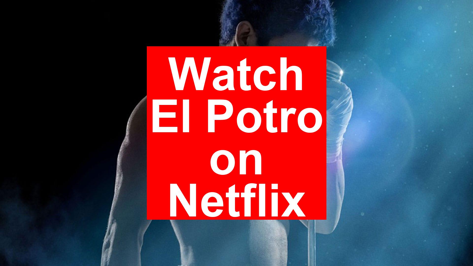 How to Watch El Potro On Netflix [Best Guide 2025] - My Vpn Hub