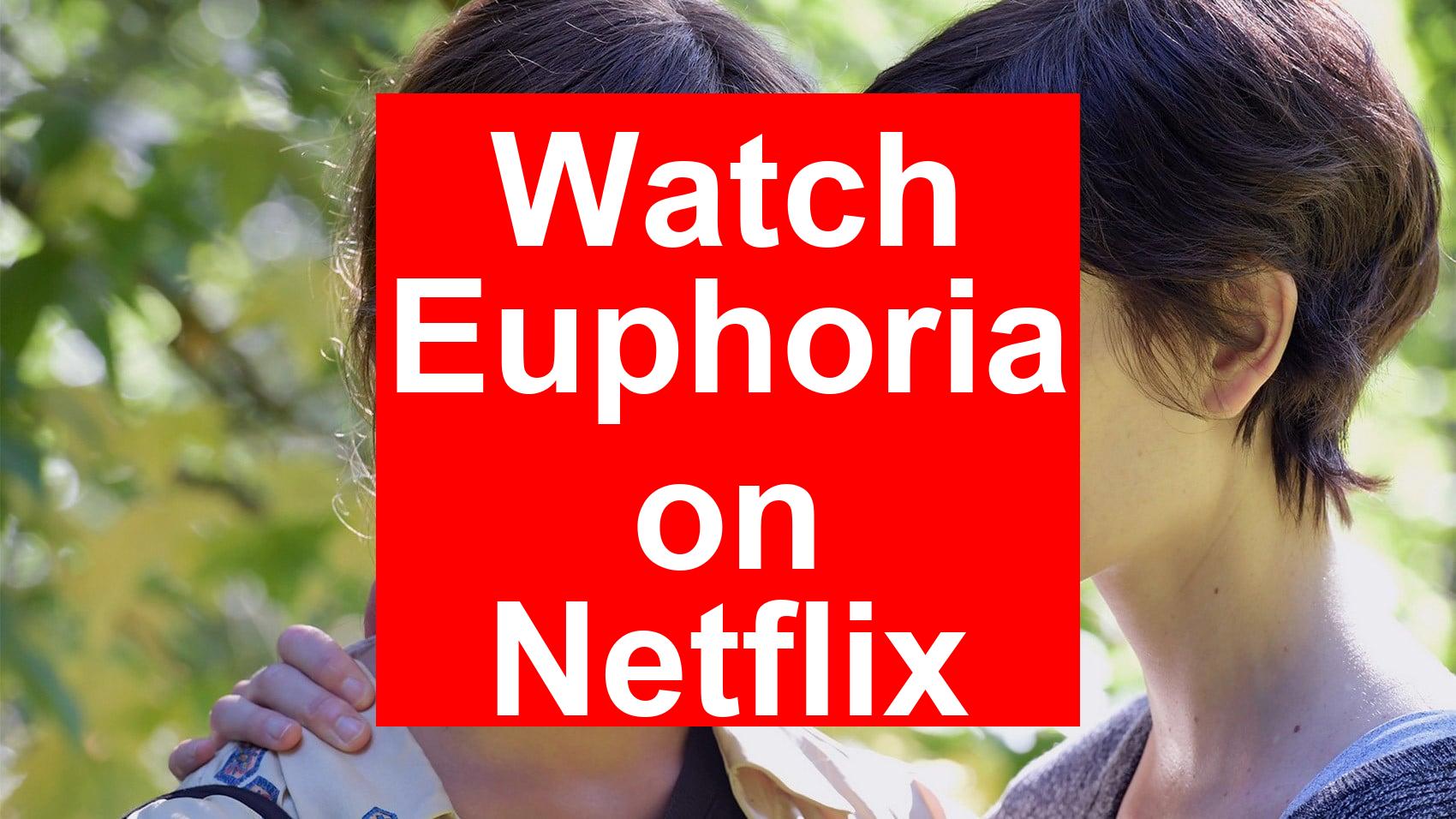 How to Watch Euphoria On Netflix [Fast Guide 2025] - My Vpn Hub