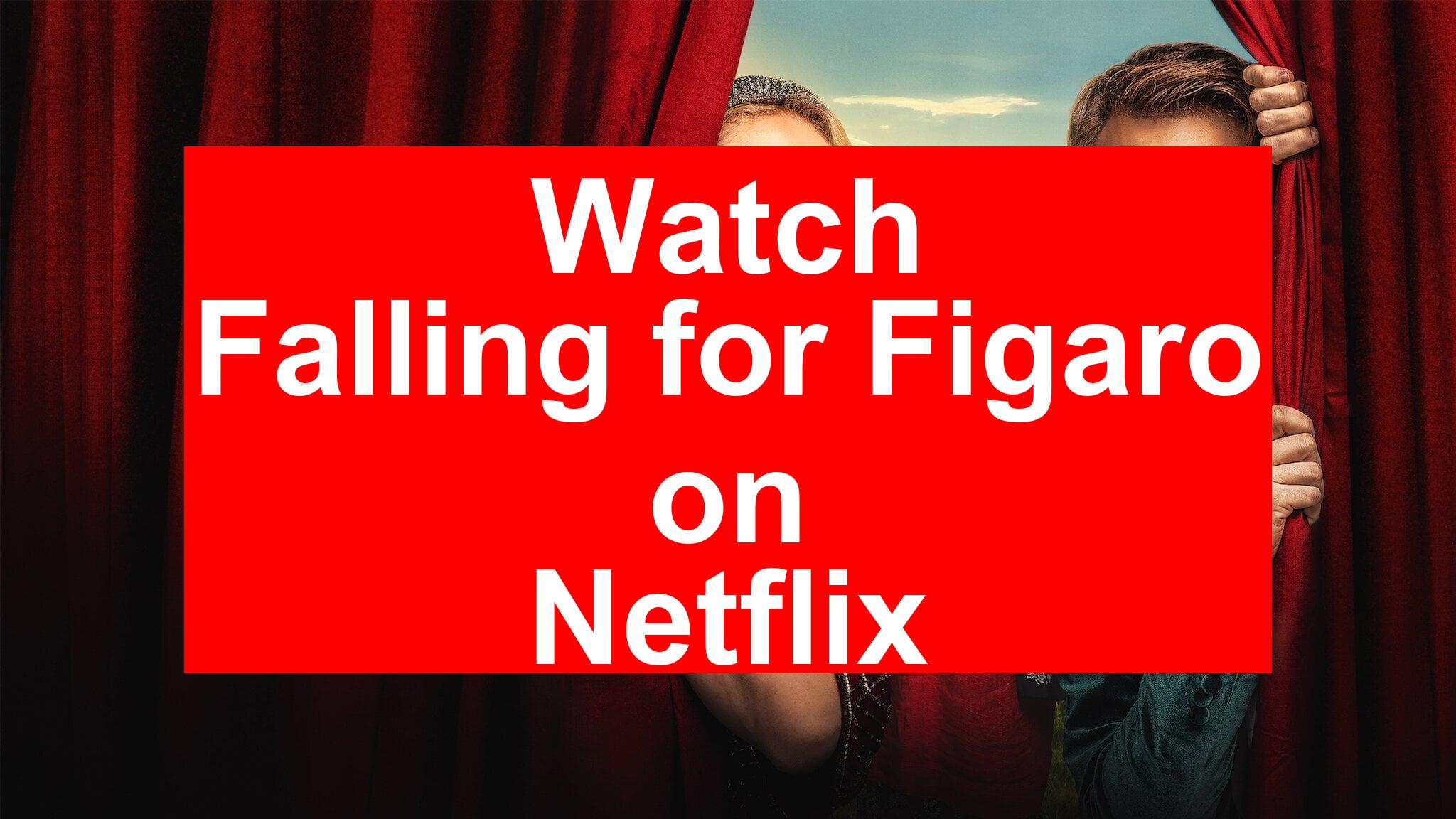 How to Watch Falling for Figaro On Netflix [Top Guide 2025] - My Vpn Hub
