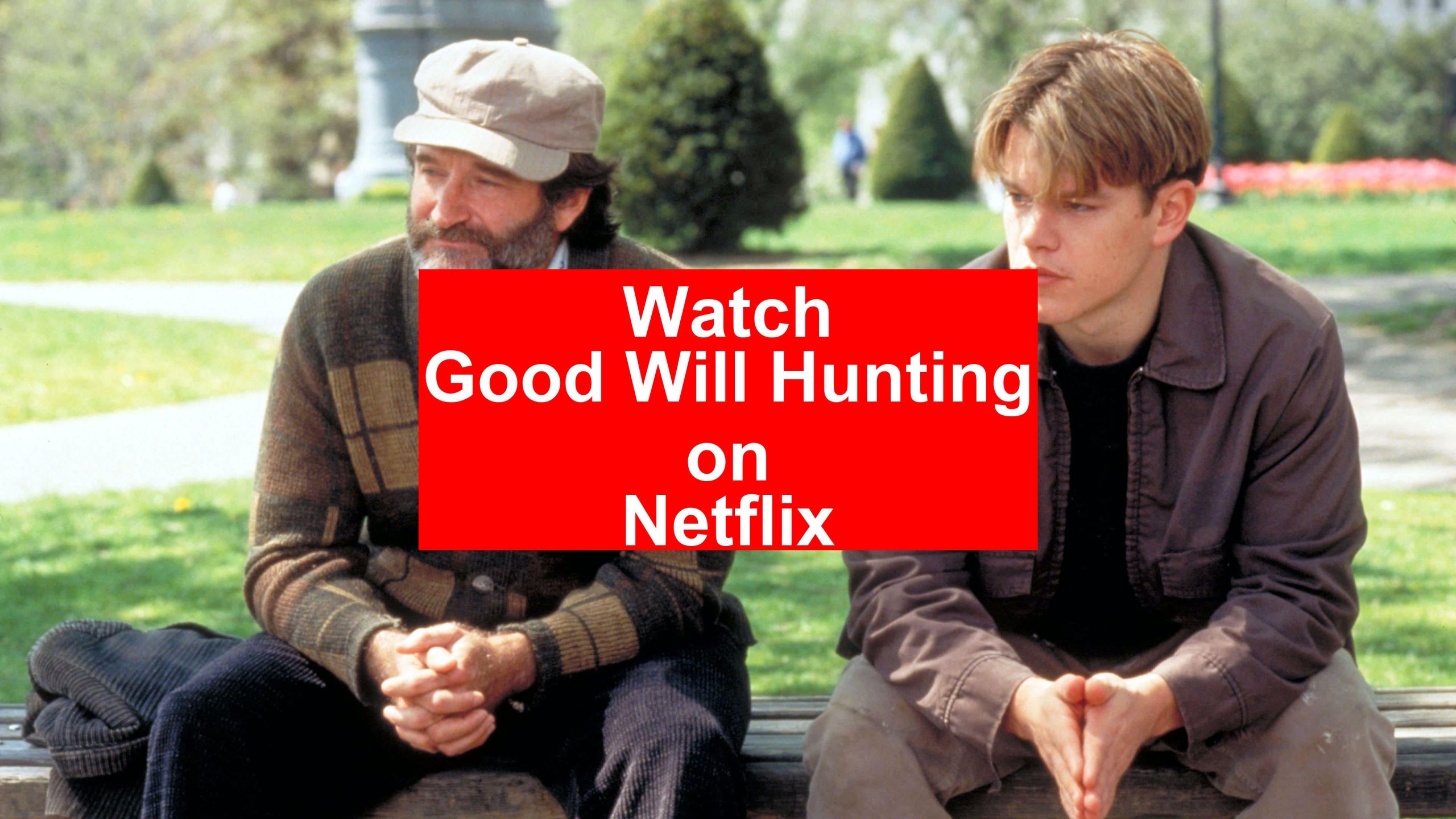 How to Watch Good Will Hunting On Netflix [Best Guide 2025] - My Vpn Hub