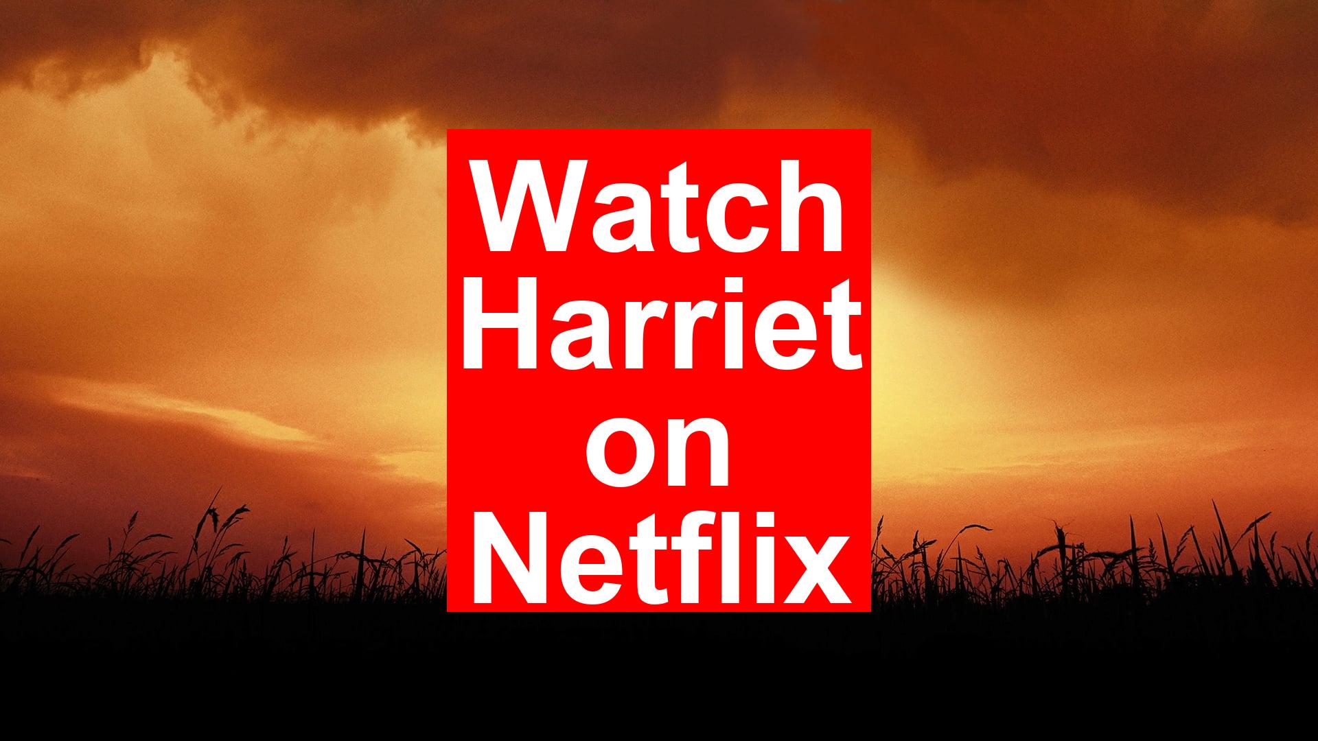 How to Watch Harriet On Netflix [Fast Guide 2025] - My Vpn Hub