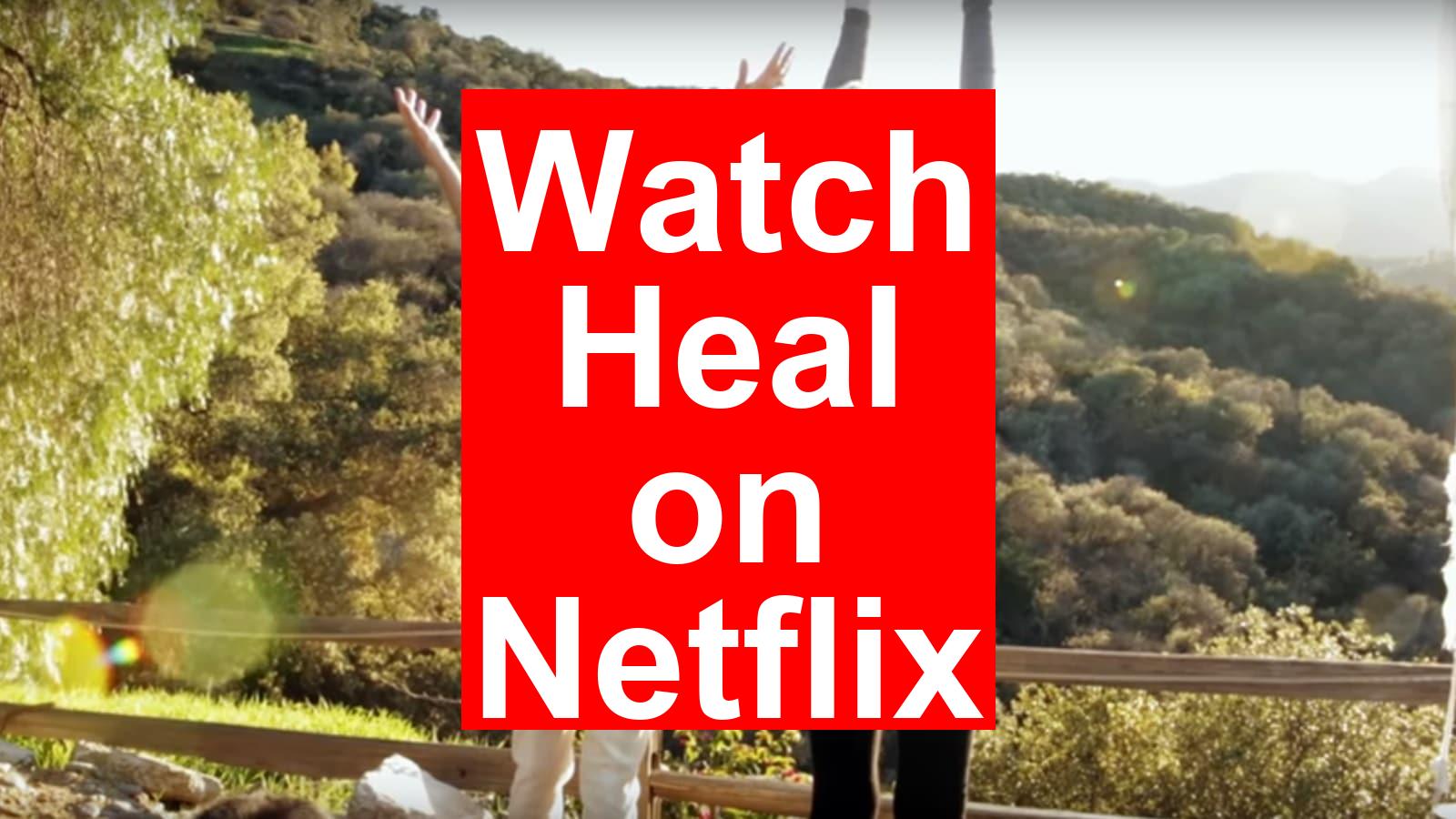 How to Watch Heal On Netflix [Easy Guide 2025] - My Vpn Hub