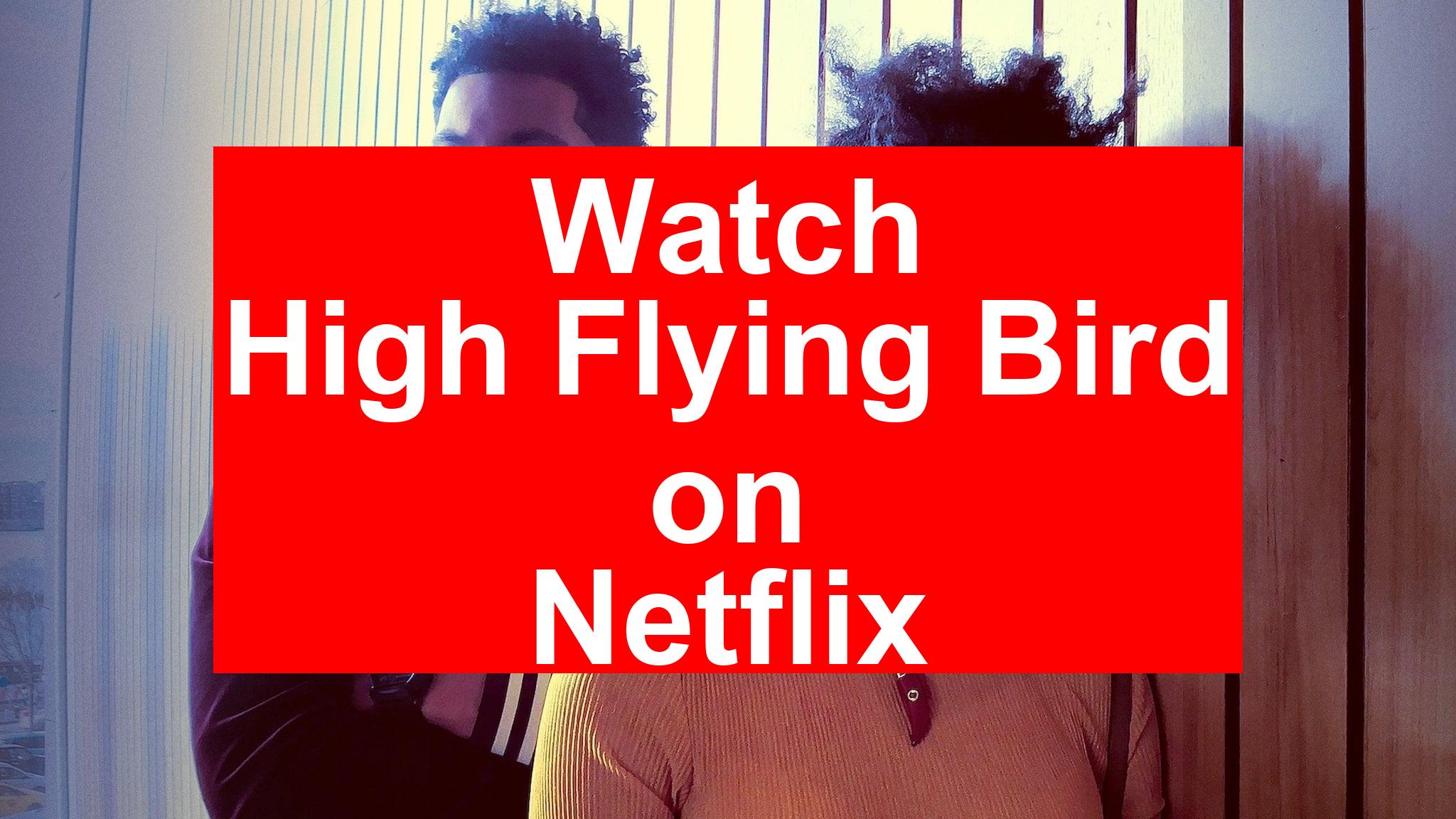 How to Watch High Flying Bird On Netflix [Easy Guide 2025] - My Vpn Hub
