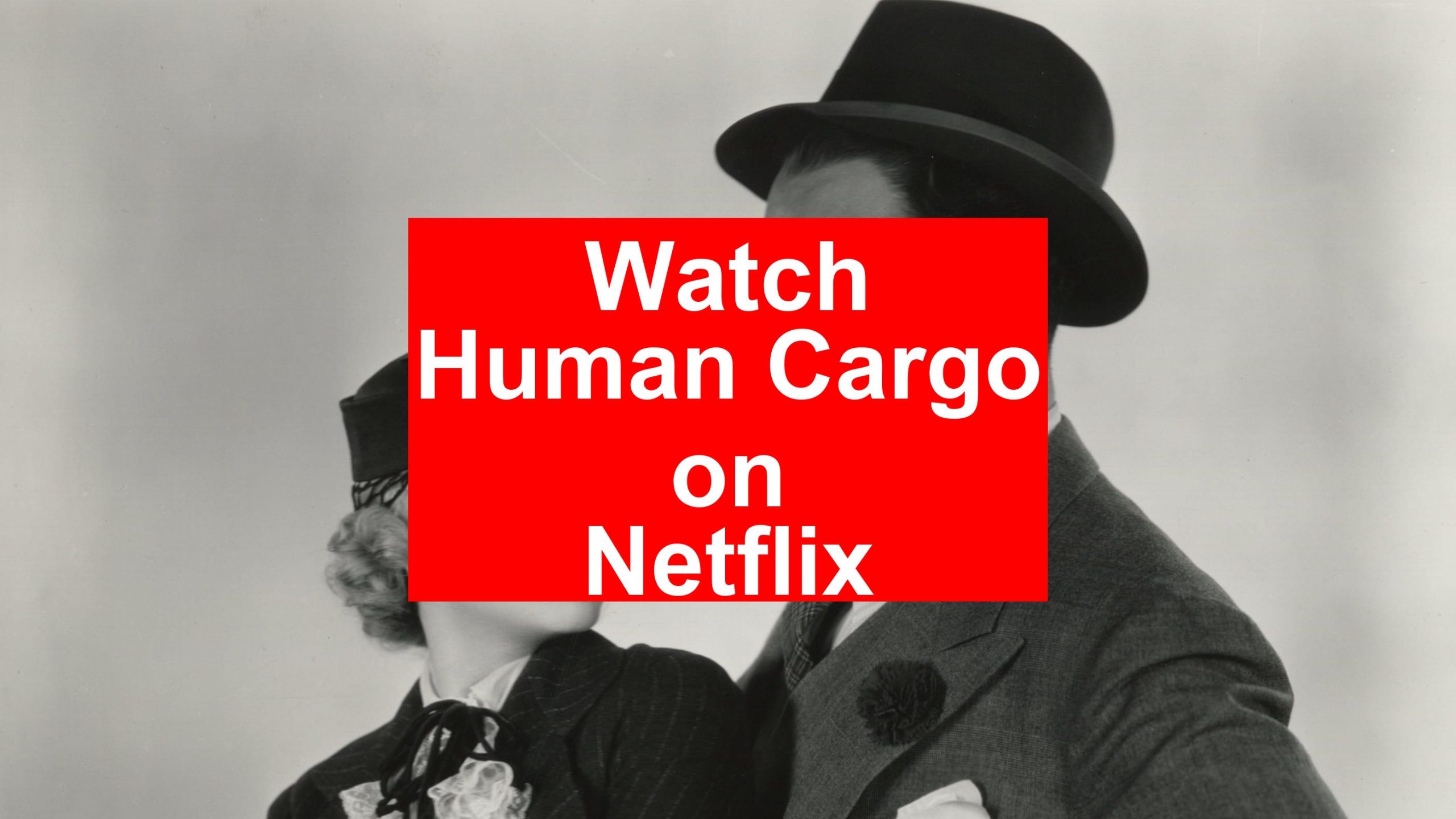 How to Watch Human Cargo On Netflix [Fast Guide 2025] - My Vpn Hub