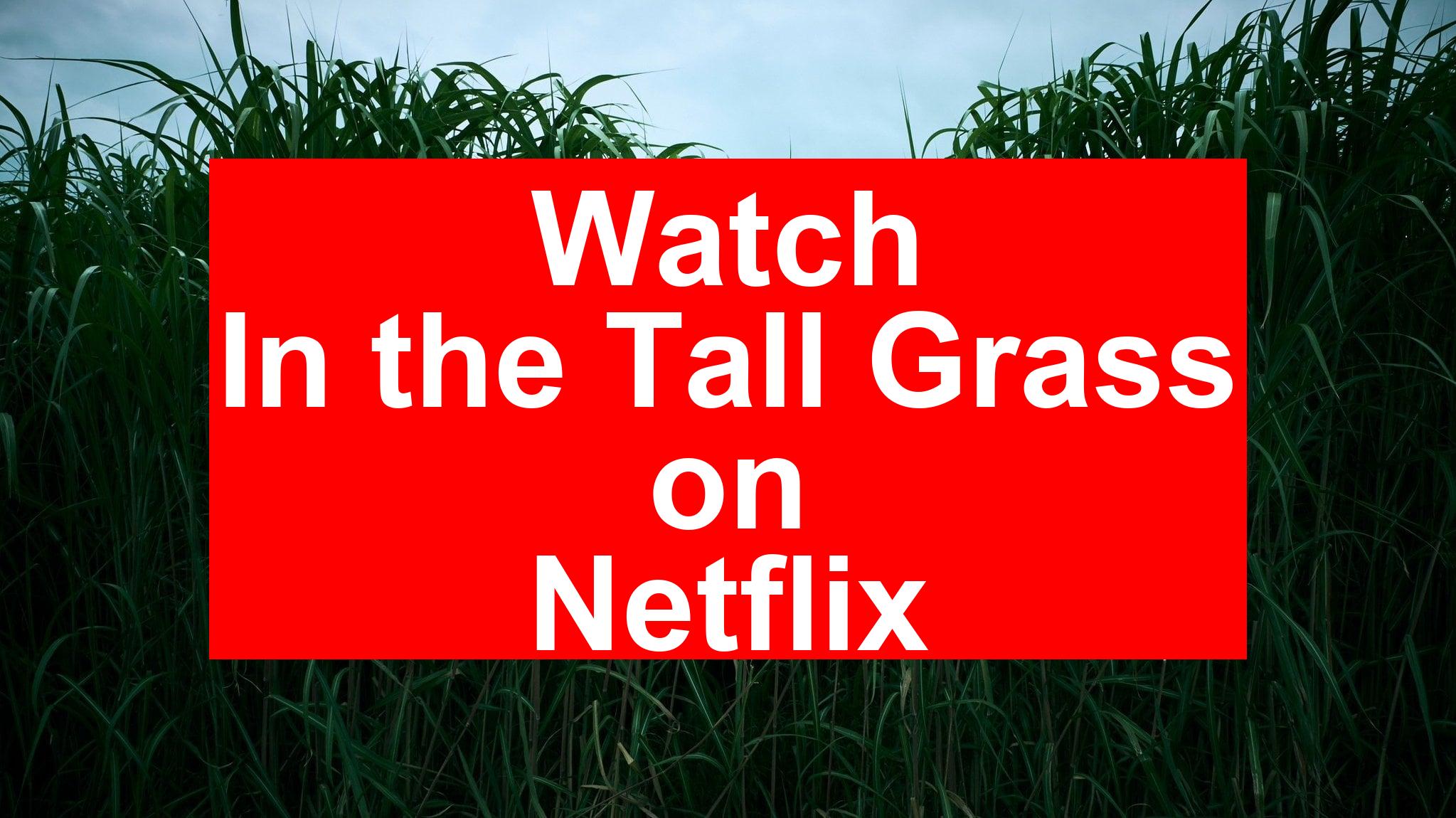How to Watch In the Tall Grass On Netflix [Top Guide 2026] - My Vpn Hub