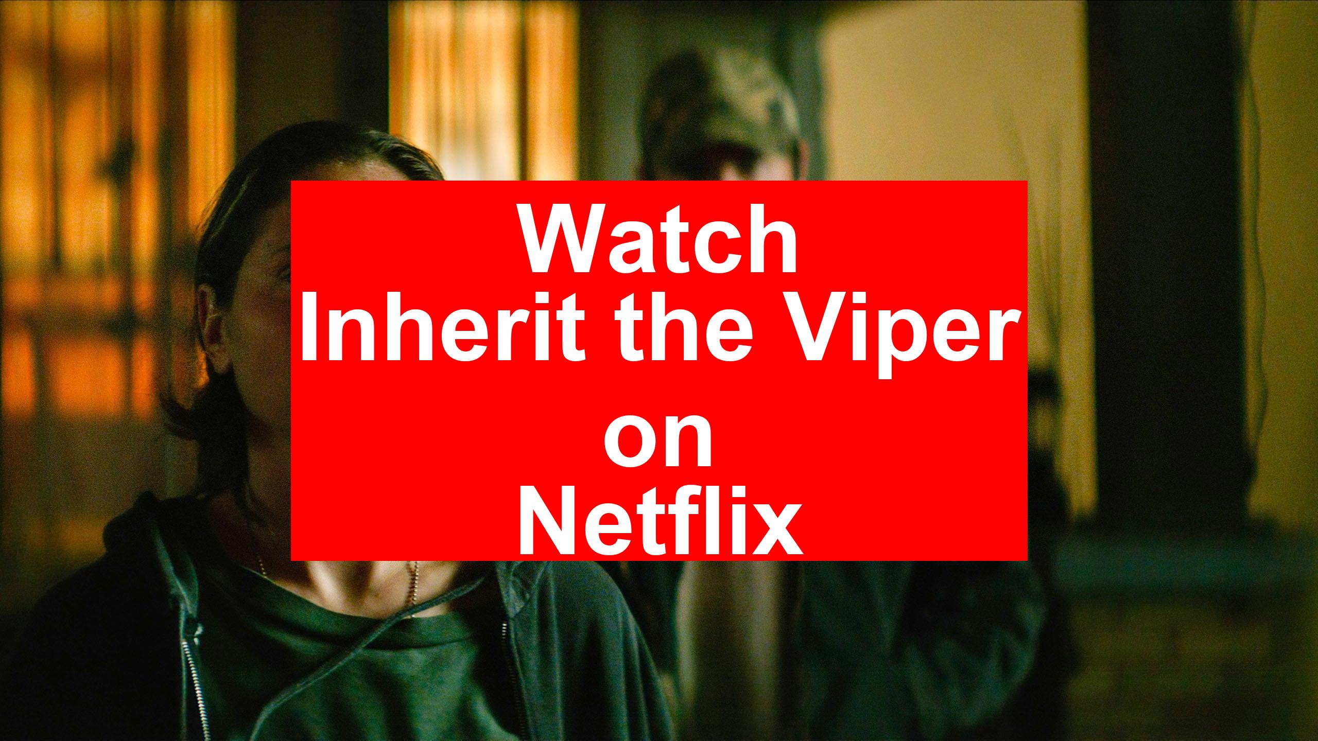 How to Watch Inherit the Viper On Netflix [Easy Guide 2025] - My Vpn Hub