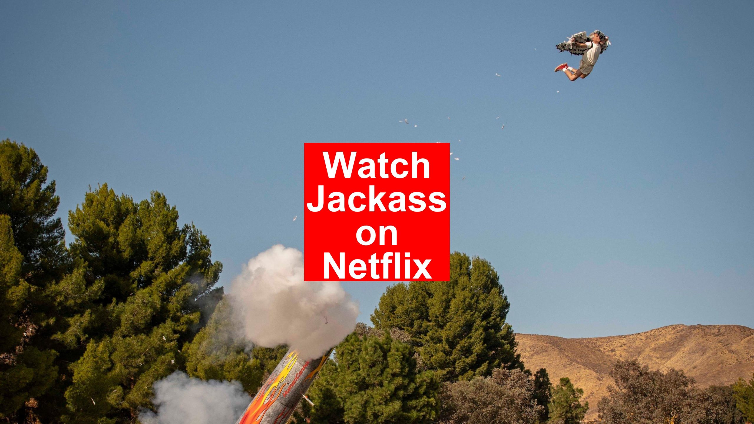 How to Watch Jackass On Netflix [Fast Guide 2026] - My Vpn Hub