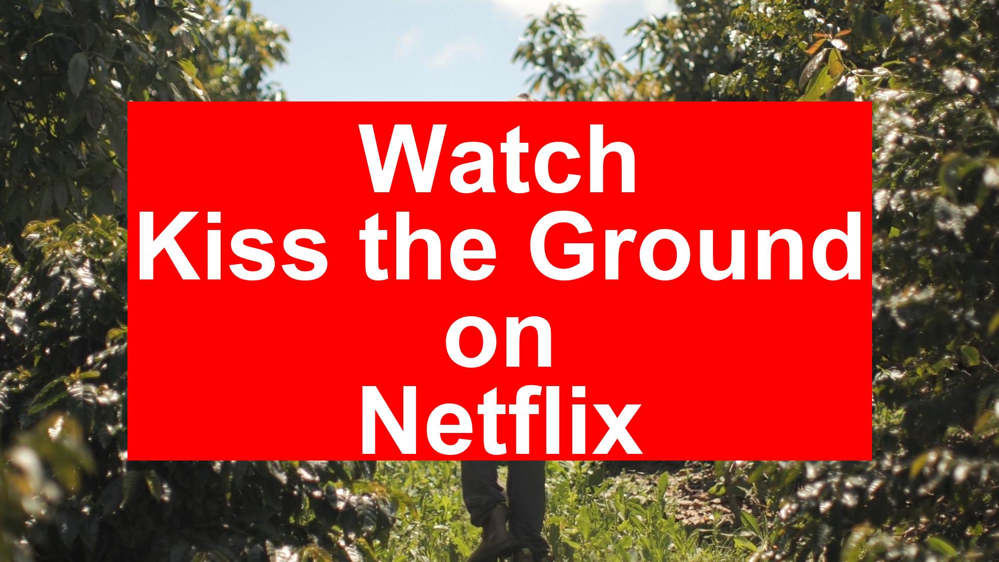How to Watch Kiss the Ground On Netflix [Top Guide 2025] - My Vpn Hub