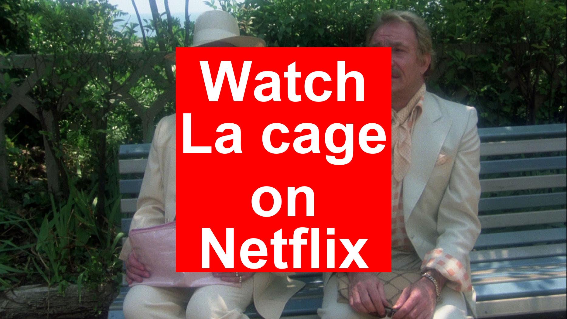 How to Watch La cage On Netflix [Best Guide 2026] - My Vpn Hub