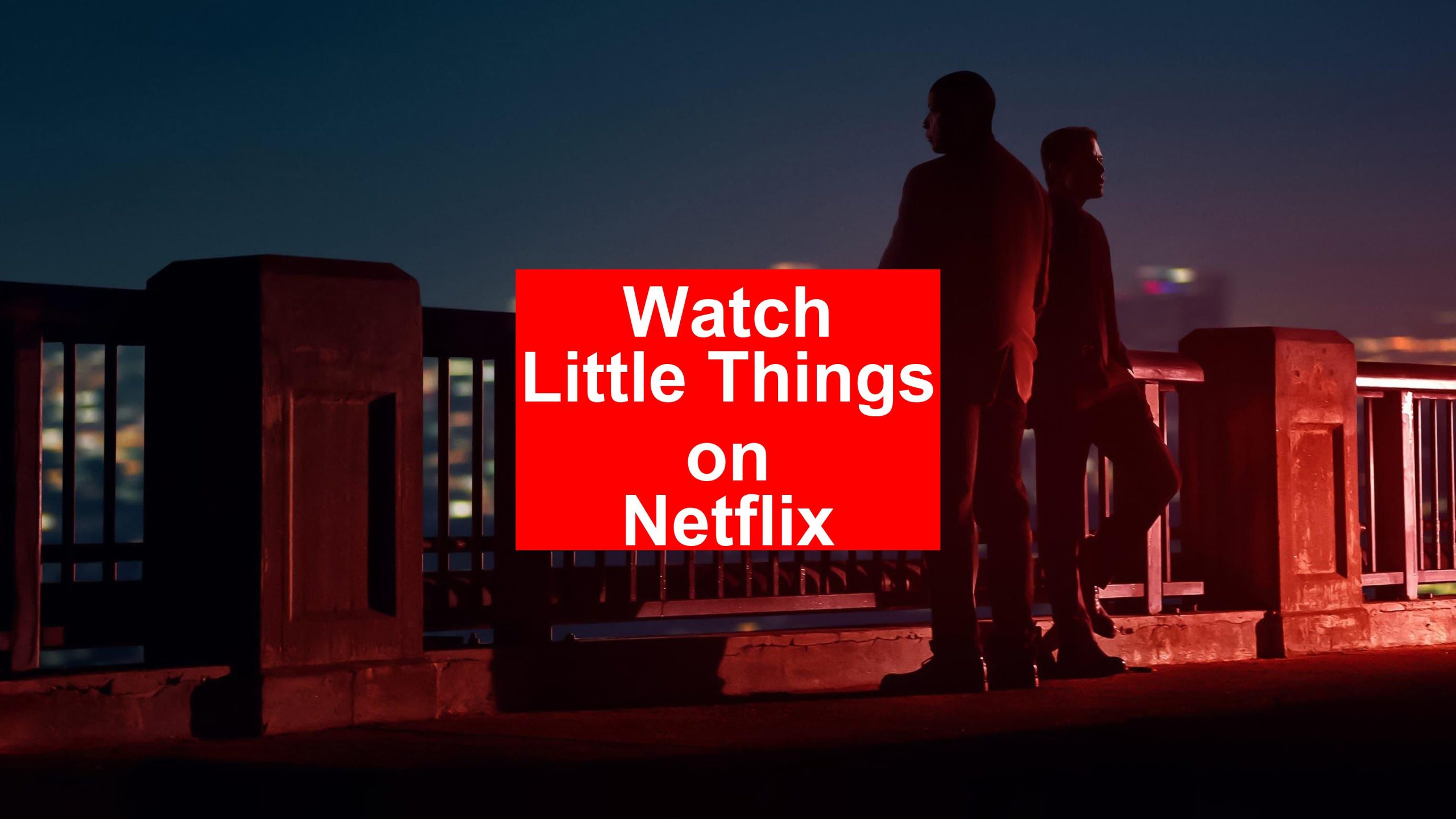 How to Watch Little Things On Netflix [Best Guide 2025] - My Vpn Hub