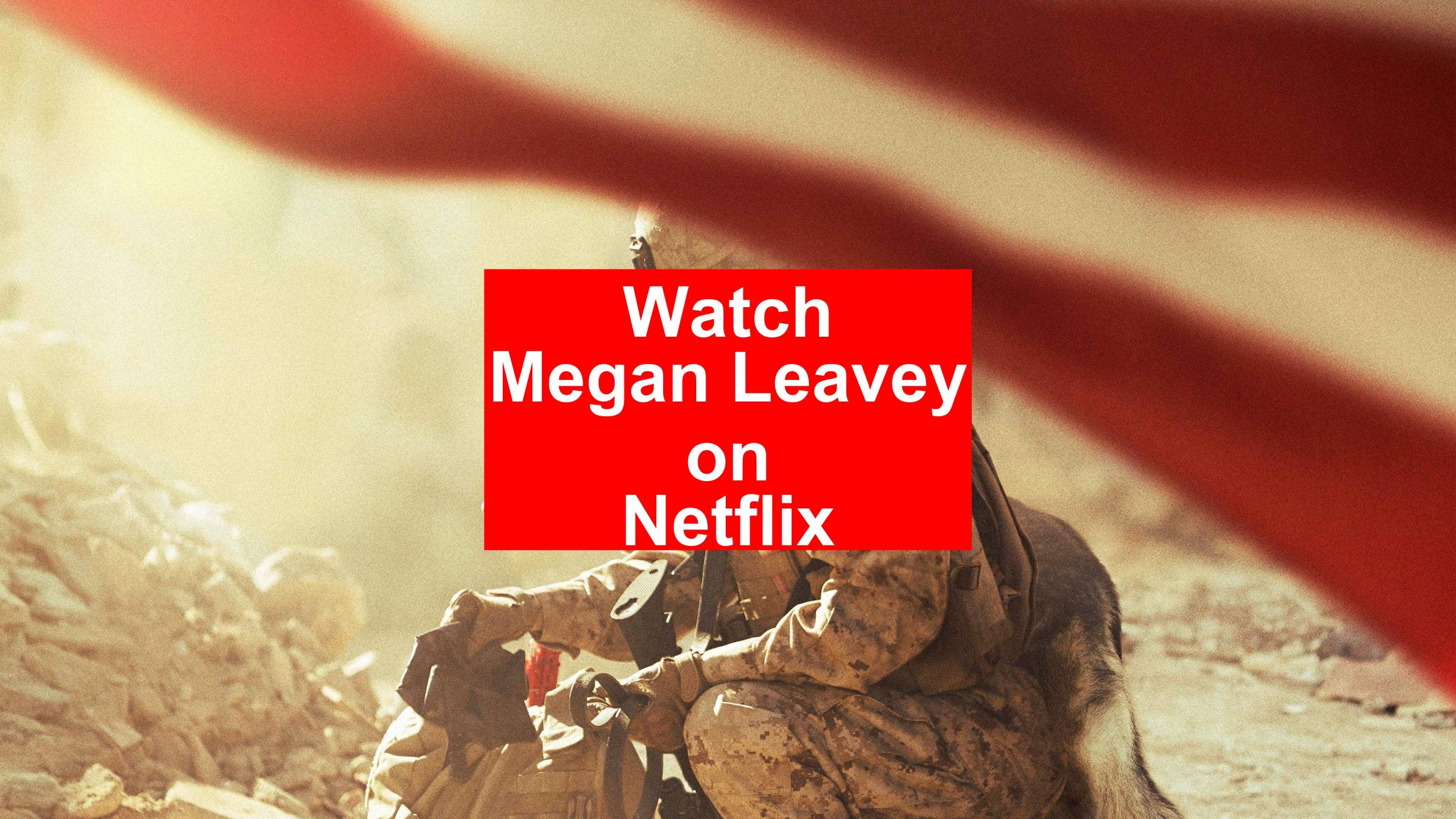 How to Watch Megan Leavey On Netflix [Best Guide 2025] - My Vpn Hub