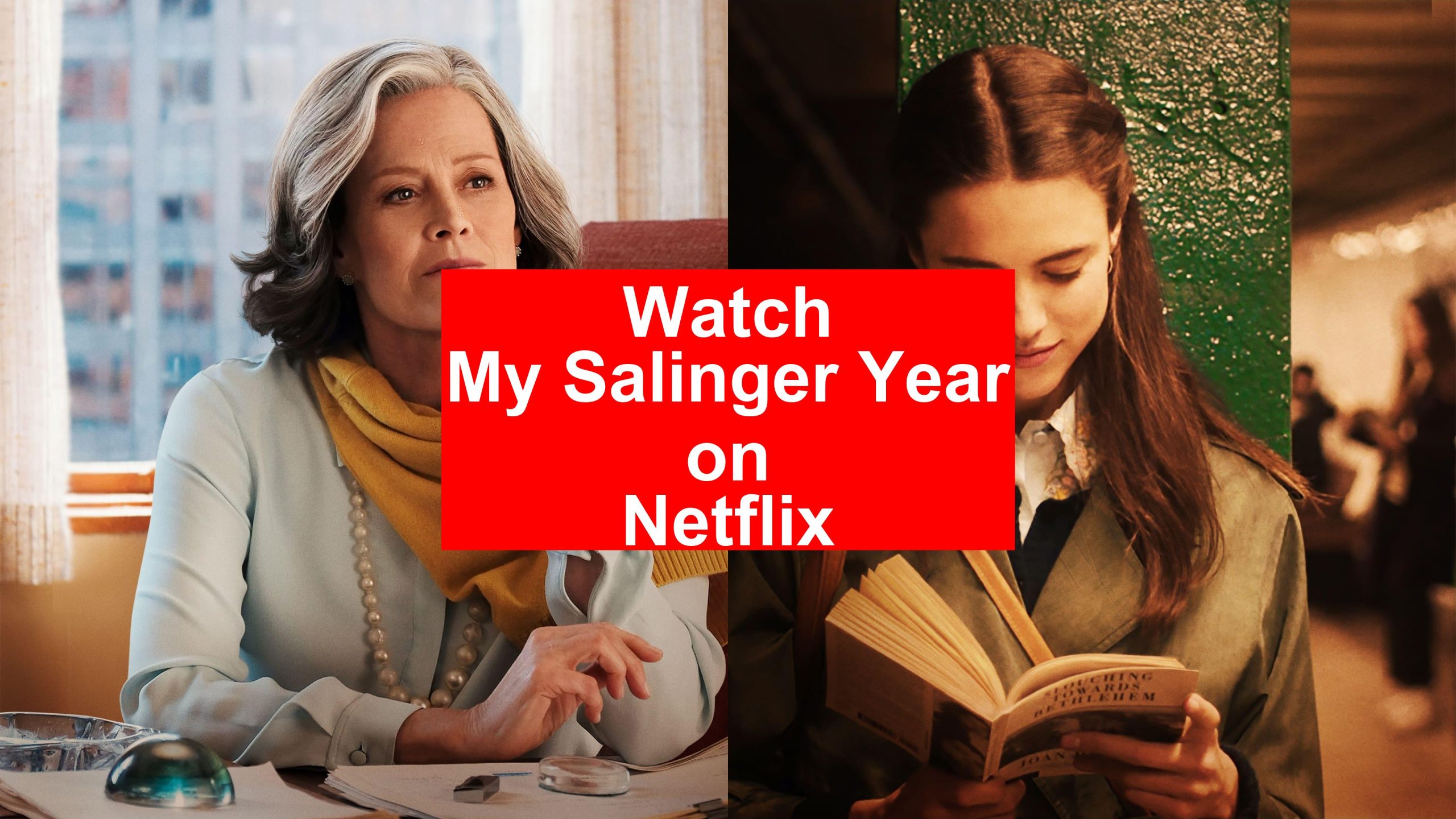 How to Watch My Salinger Year On Netflix [Fast Guide 2026] - My Vpn Hub