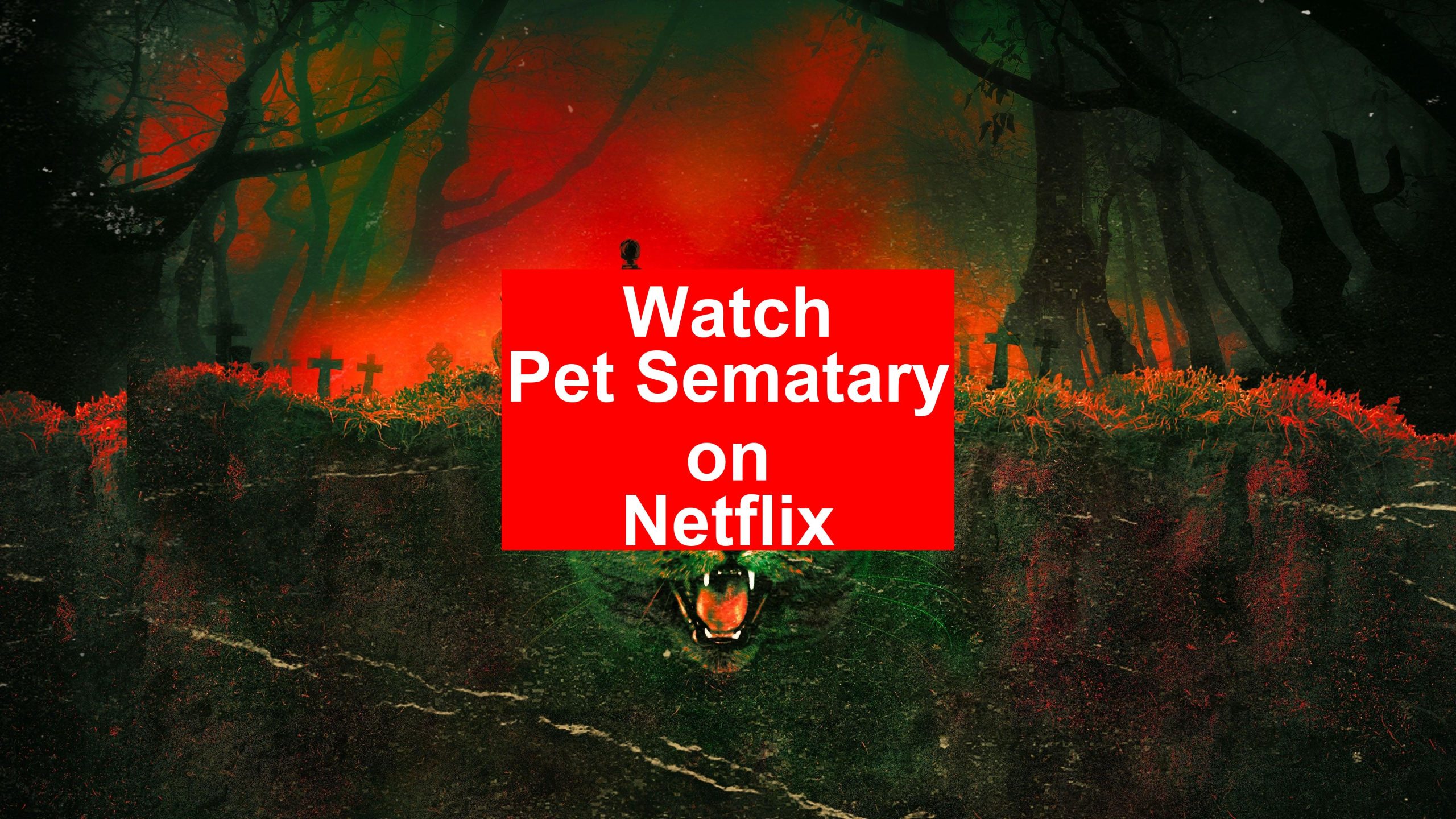 How to Watch Pet Sematary On Netflix [Easy Guide 2026] - My Vpn Hub