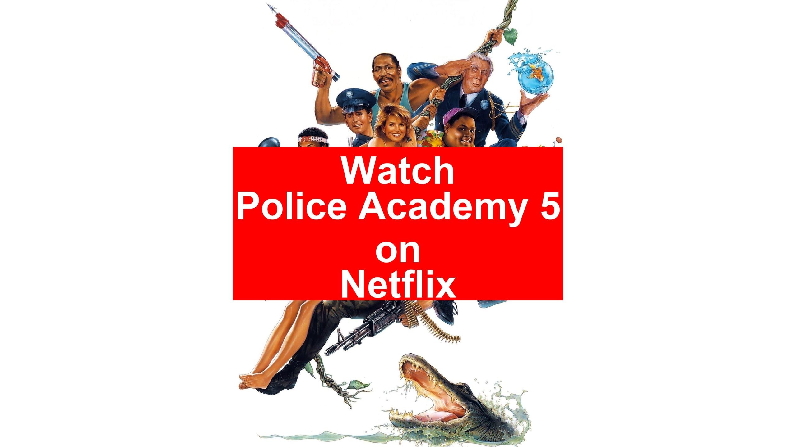 How to Watch Police Academy 5 On Netflix [Best Guide 2025] - My Vpn Hub