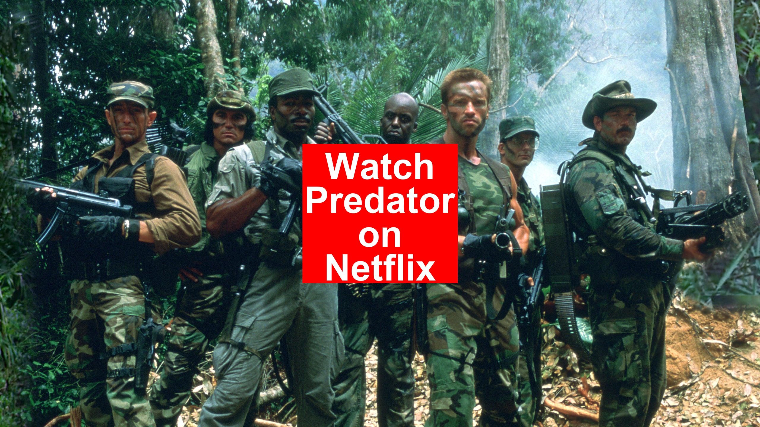 How to Watch Predator On Netflix [Top Guide 2025] - My Vpn Hub