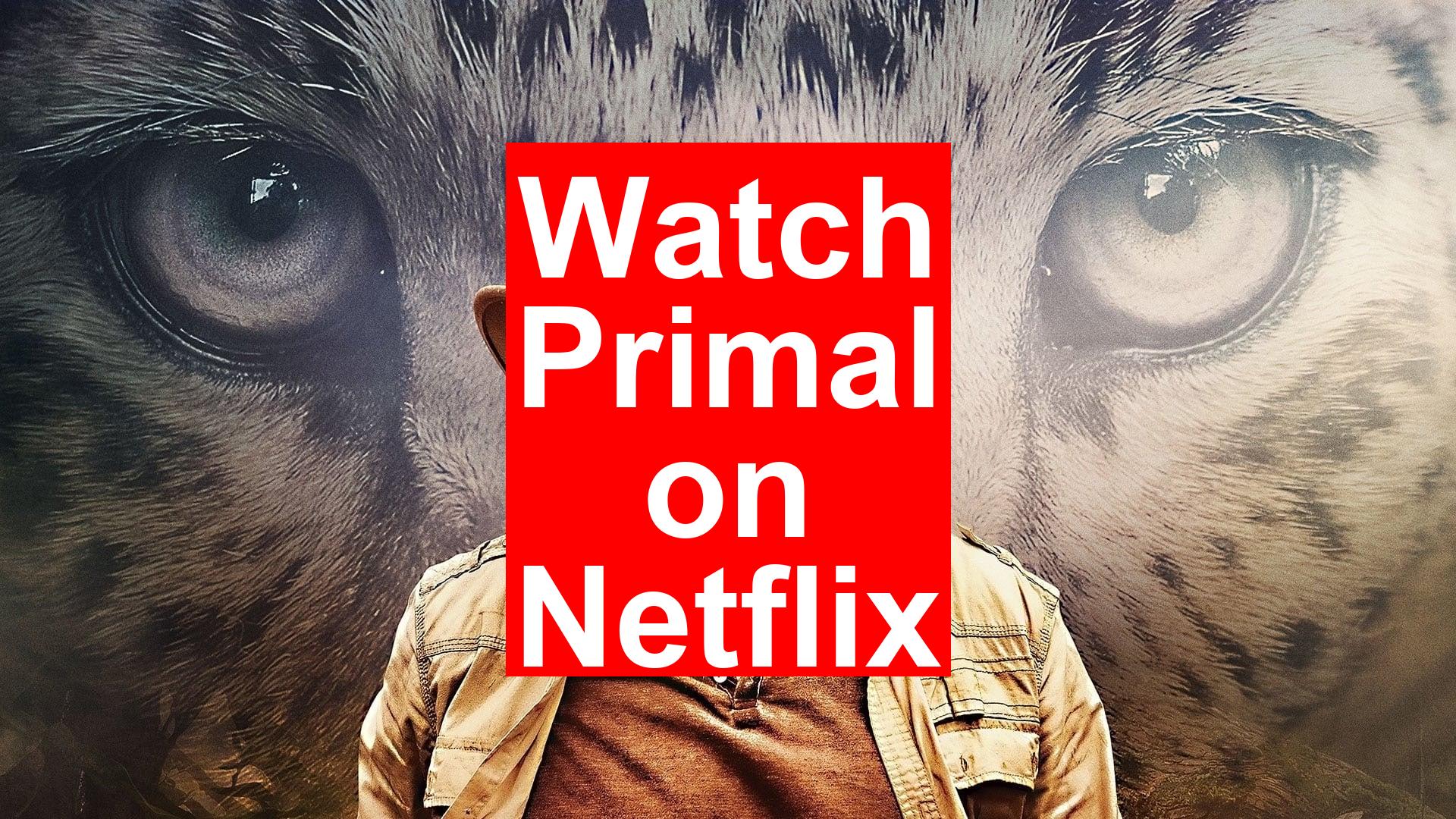 How to Watch Primal On Netflix [Fast Guide 2026] - My Vpn Hub