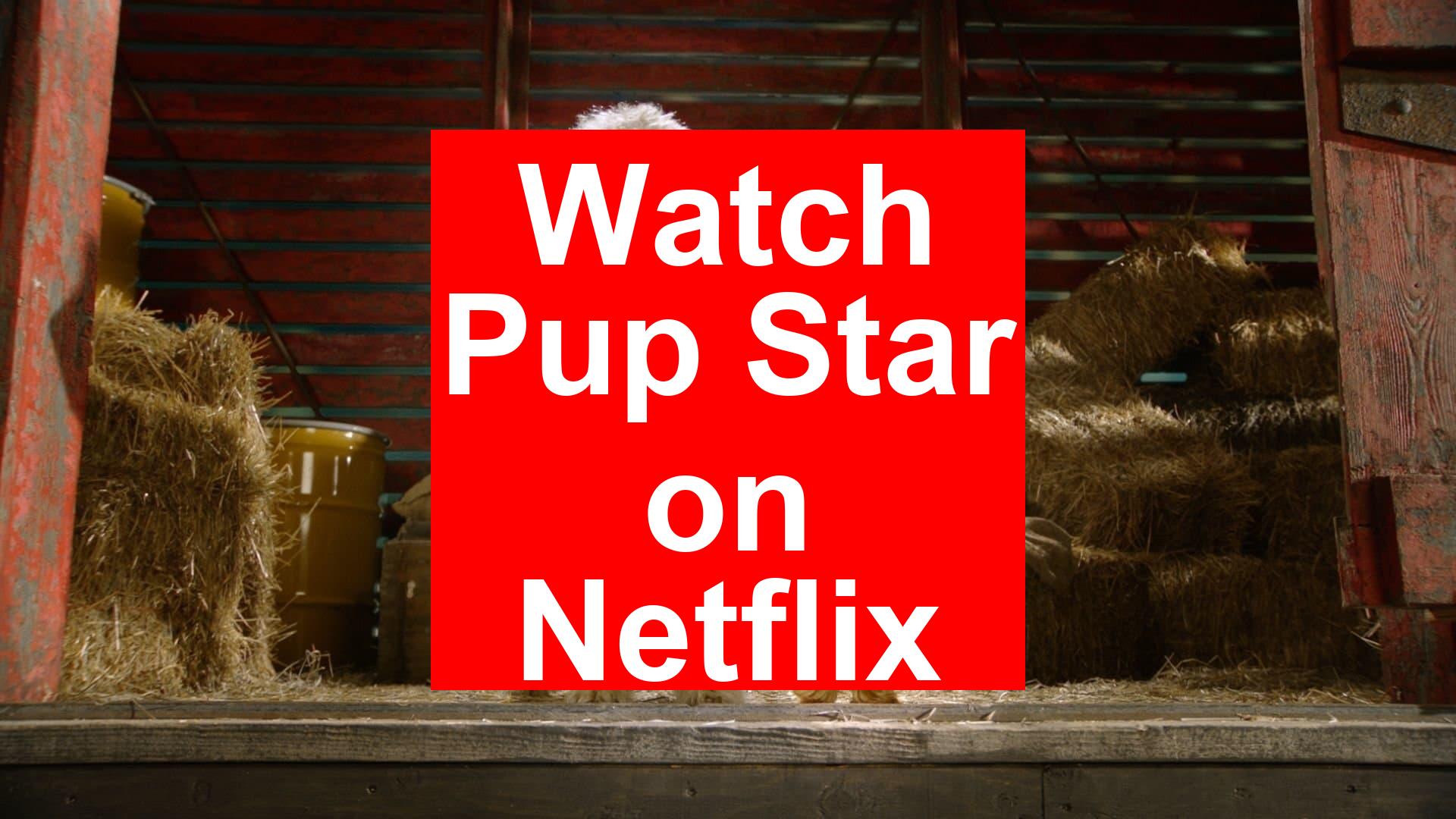 How to Watch Pup Star On Netflix [Best Guide 2025] - My Vpn Hub