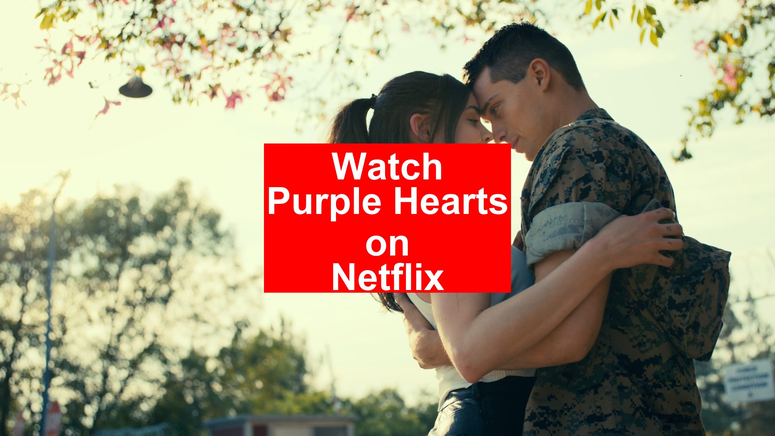 How to Watch Purple Hearts On Netflix [Easy Guide 2025] - My Vpn Hub