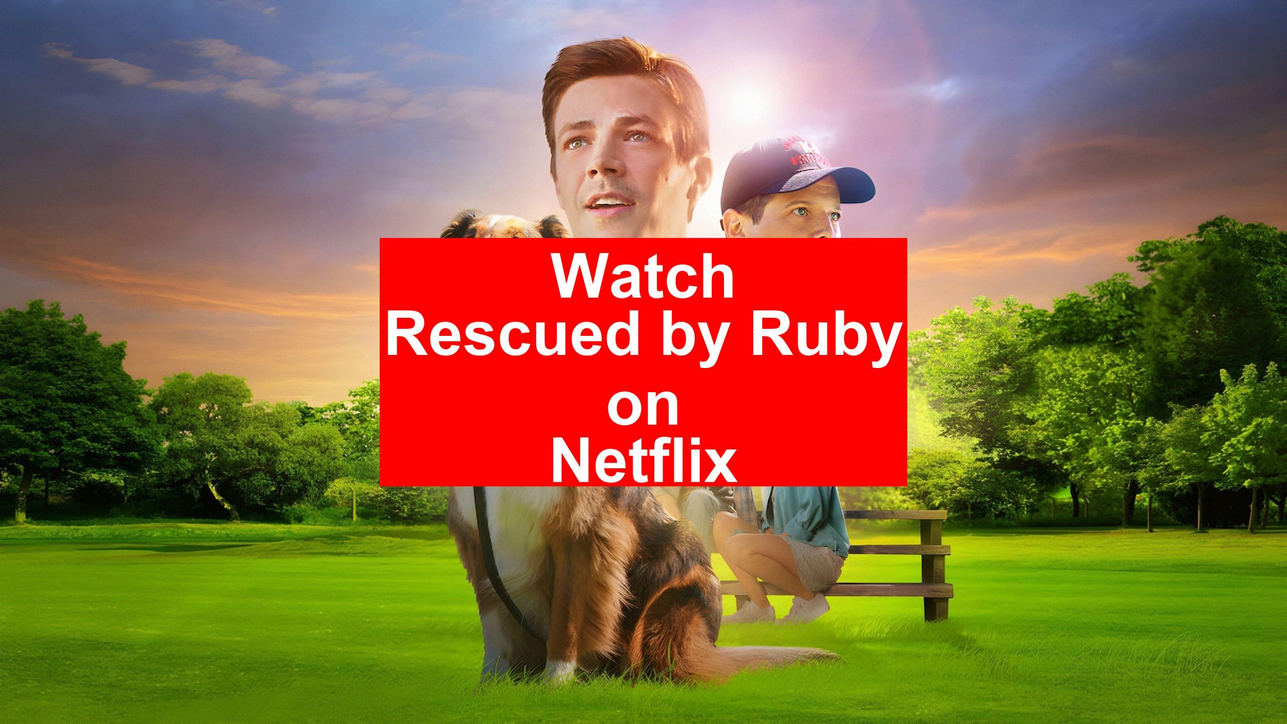 How to Watch Rescued by Ruby On Netflix [Top Guide 2025] - My Vpn Hub