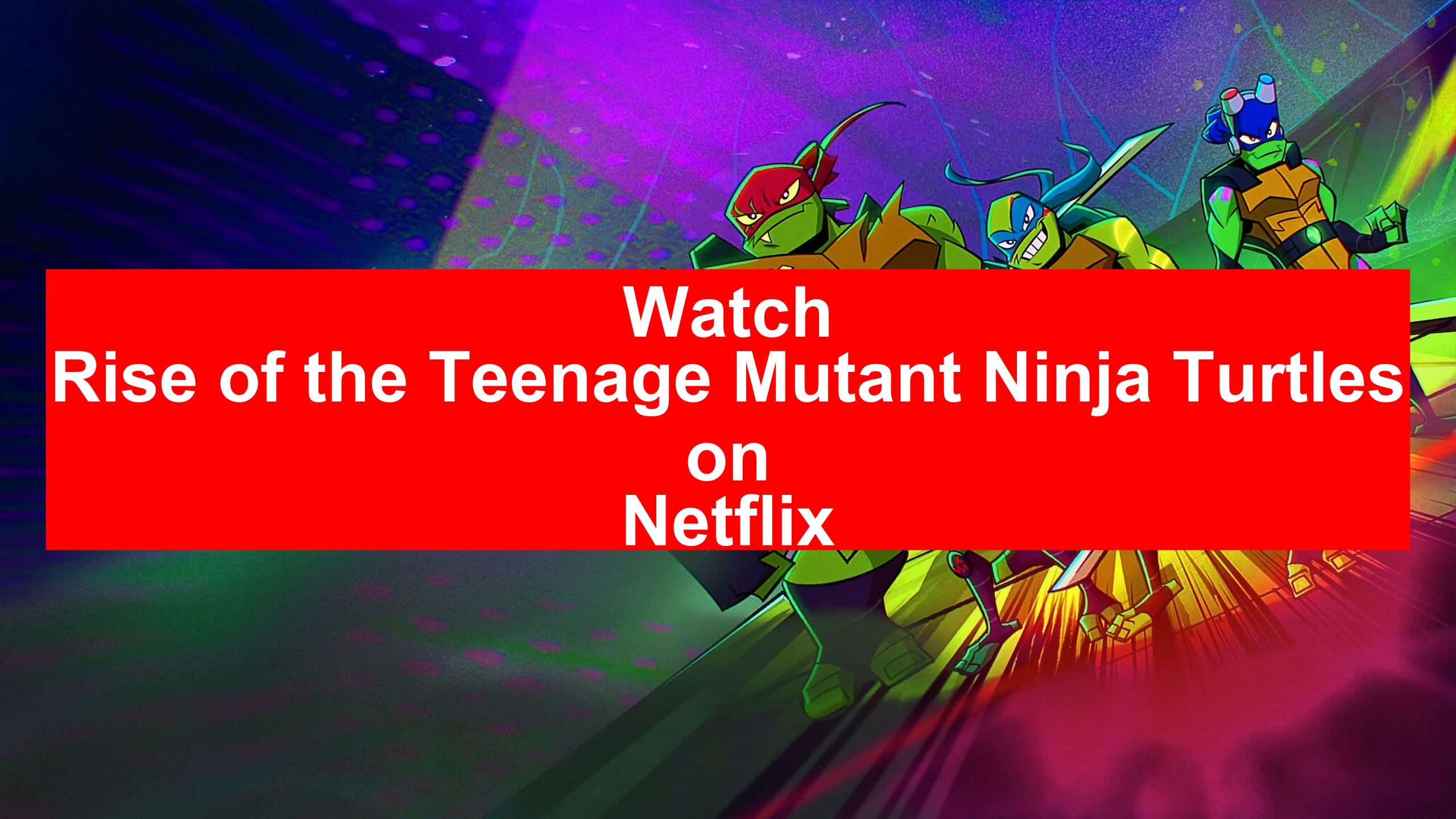 How to Watch Rise of the Teenage Mutant Ninja Turtles On Netflix [Top ...