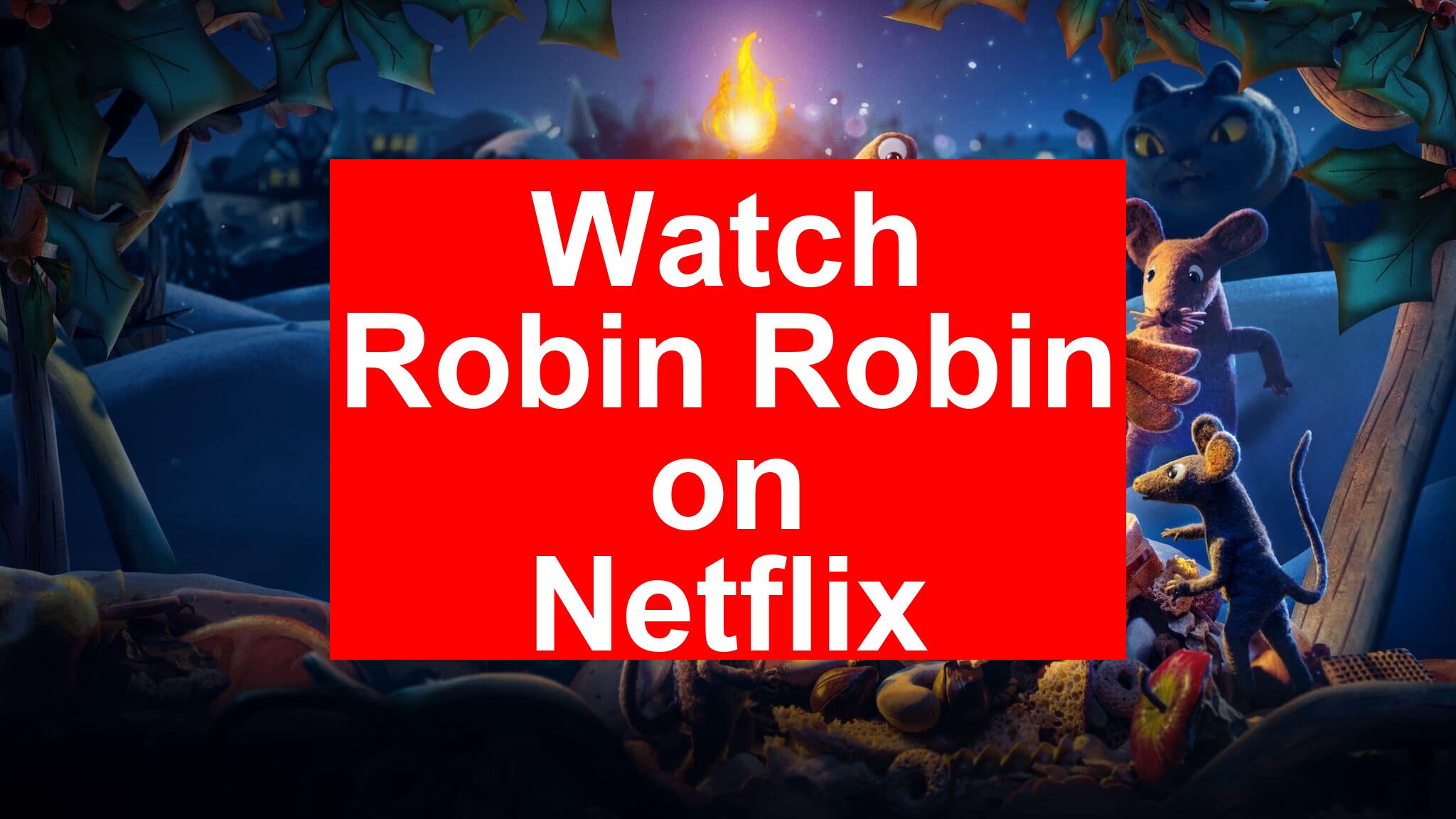 How to Watch Robin Robin On Netflix [Easy Guide 2025] - My Vpn Hub