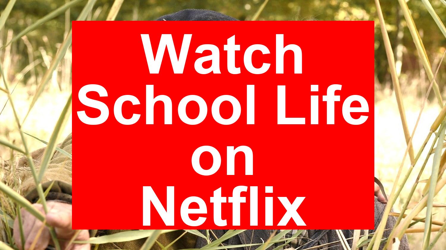 How to Watch School Life On Netflix [Top Guide 2025] - My Vpn Hub