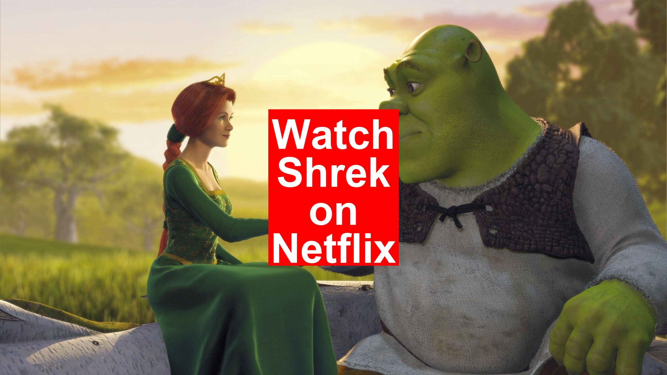 How to Watch Shrek On Netflix [Fast Guide 2025] - My Vpn Hub