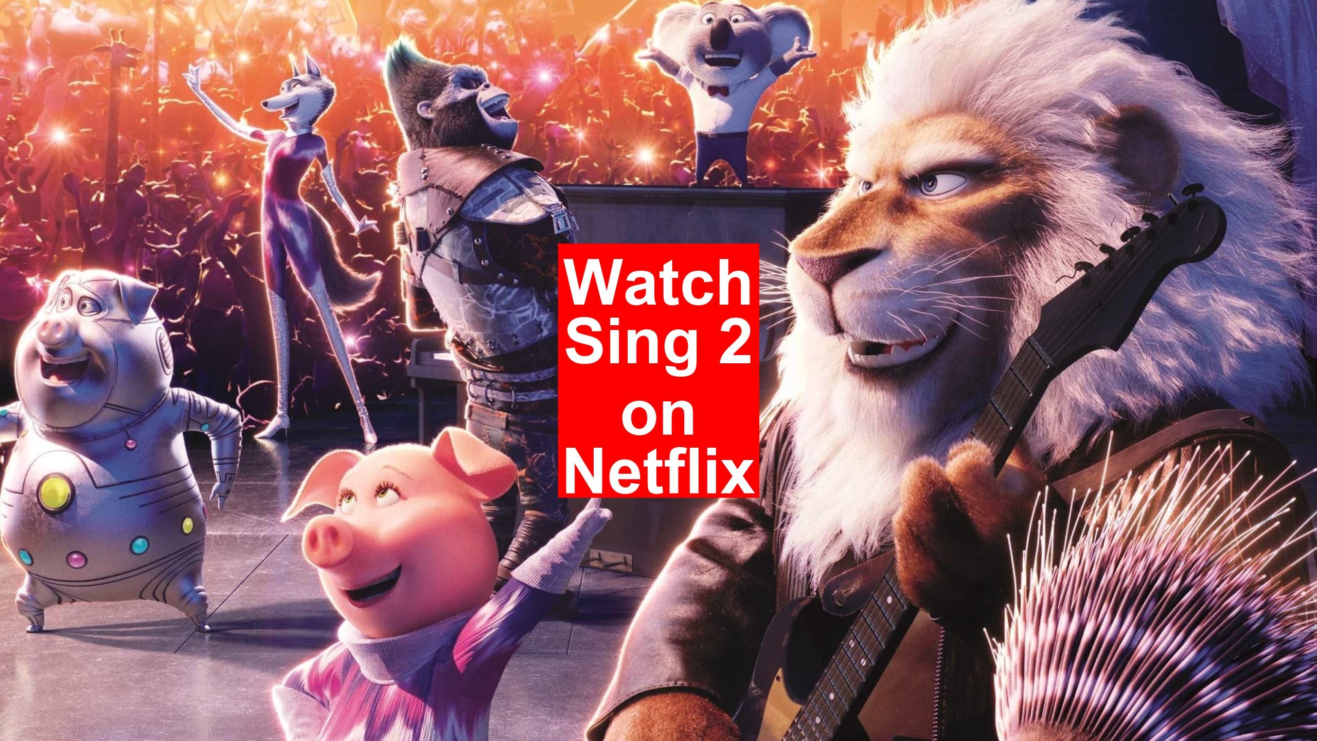 How to Watch Sing 2 On Netflix [Best Guide 2026] - My Vpn Hub