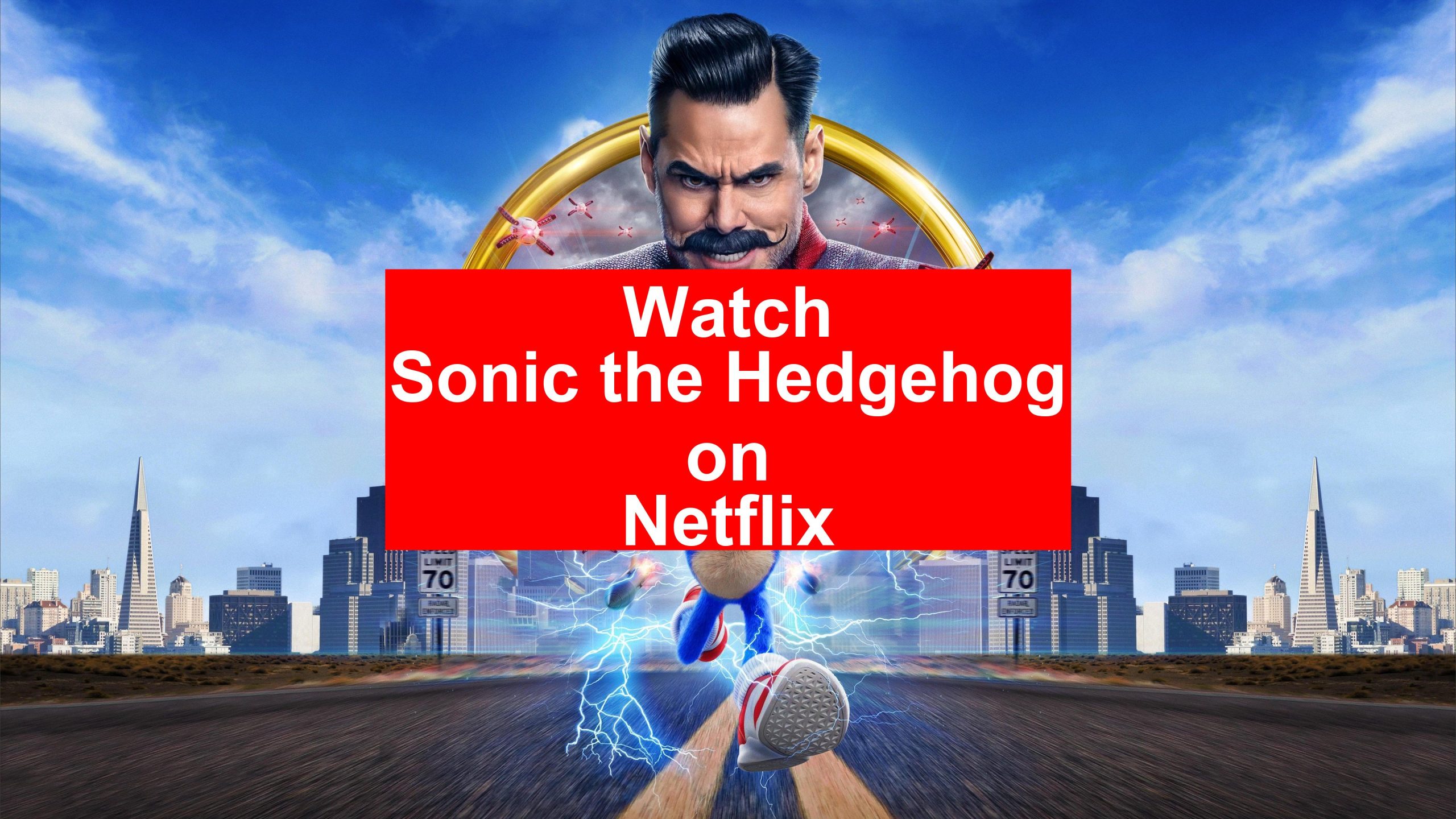 How to Watch Sonic the Hedgehog On Netflix [Top Guide 2025] - My Vpn Hub