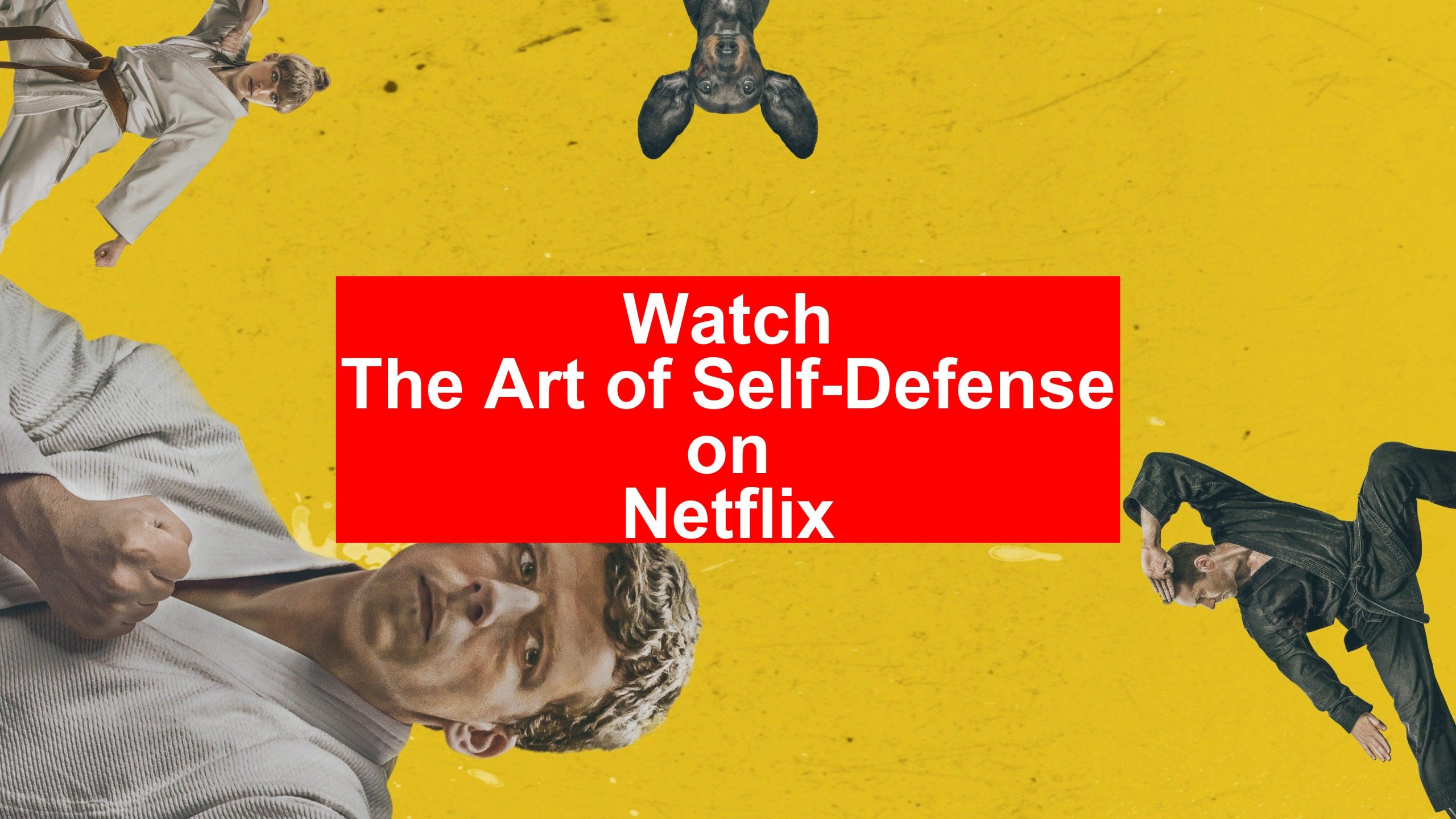 How to Watch The Art of Self-Defense On Netflix [Best Guide 2025] - My ...