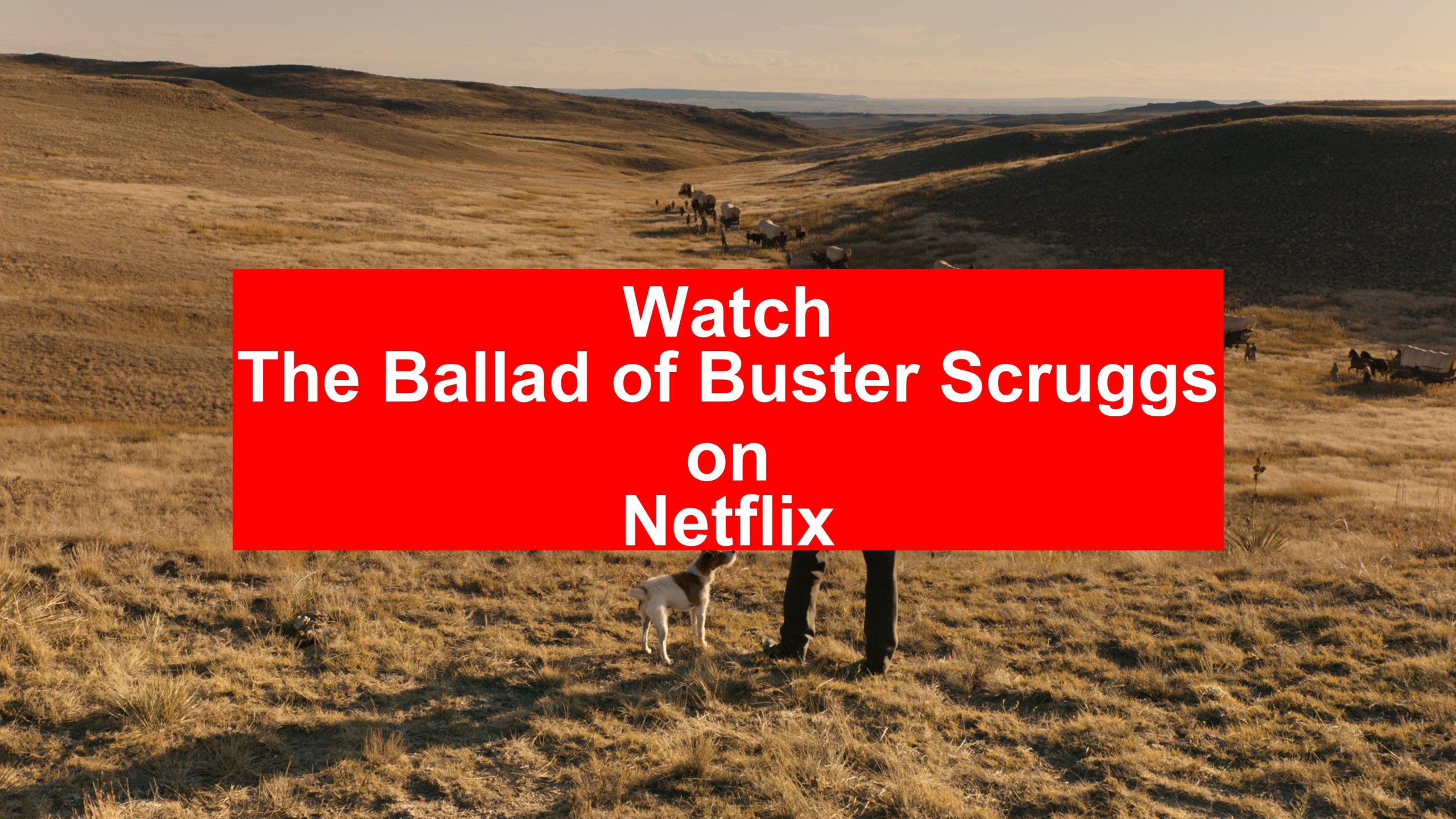 How to Watch The Ballad of Buster Scruggs On Netflix [Easy Guide 2025] - My Vpn Hub