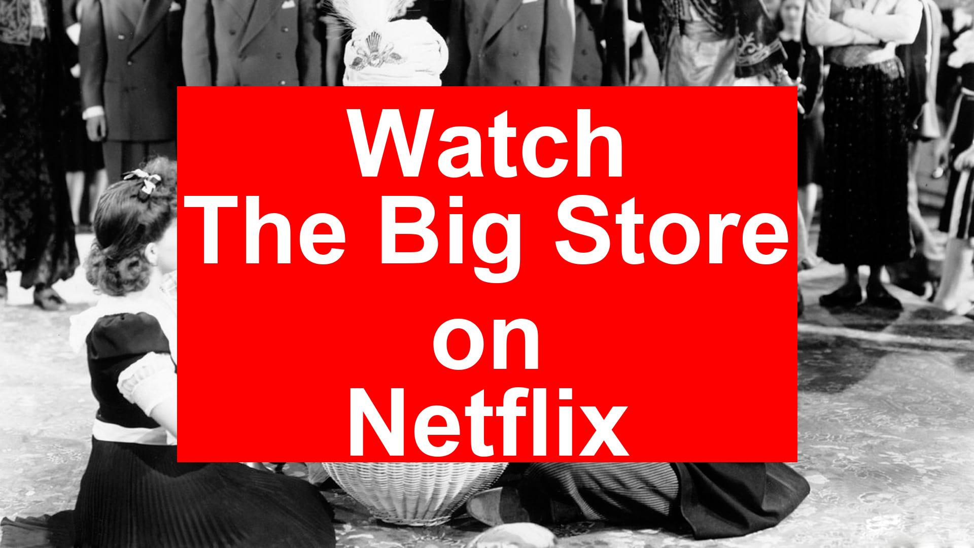 How to Watch The Big Store On Netflix [Best Guide 2026] - My Vpn Hub